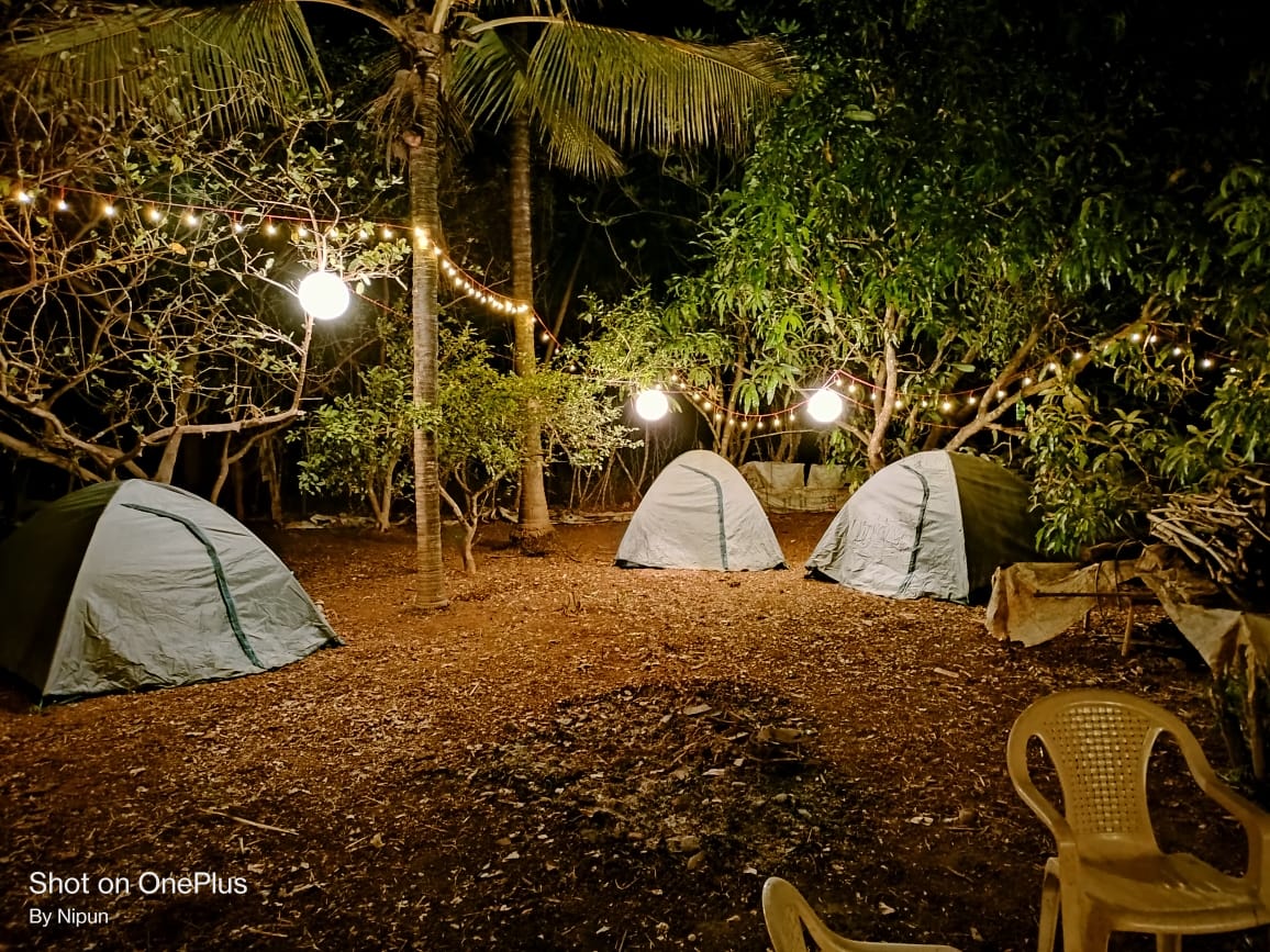 Dapoli Nature Camp 𝗕𝗢𝗢𝗞 Dapoli Camp
