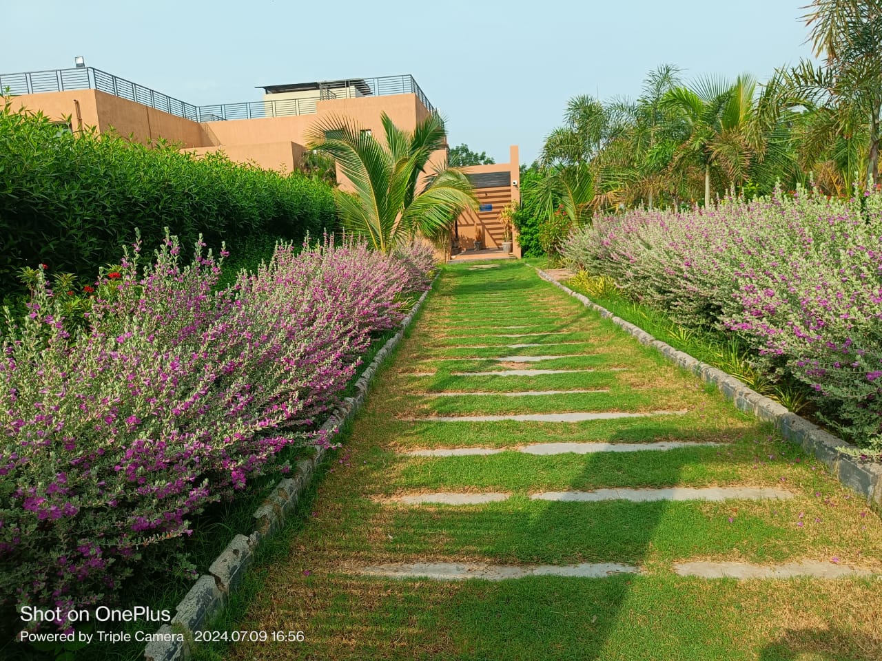 CLUB MANGO RESORT 𝗕𝗢𝗢𝗞 Viramgam Hotel