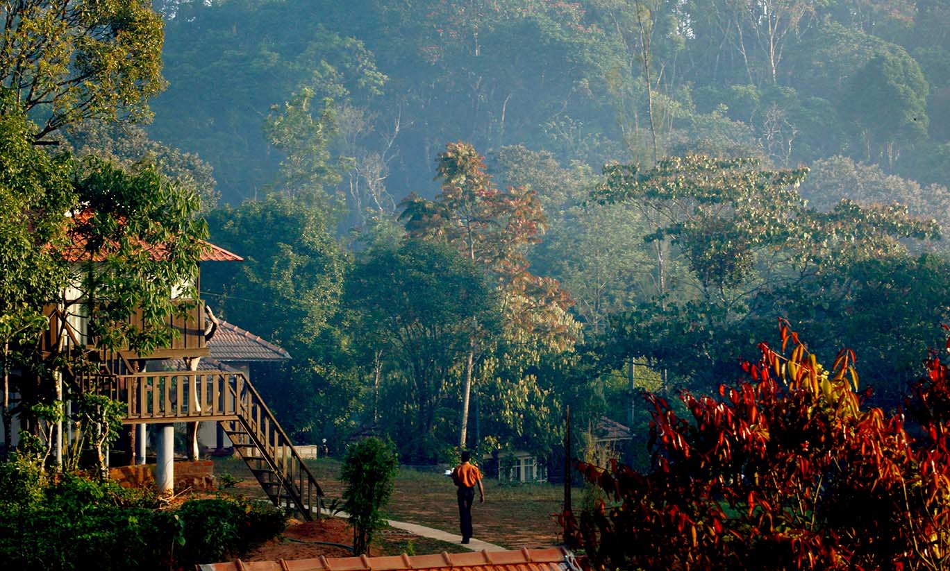 Eletaria Resort Thekkady | With Cardamom Plantation Experience ...