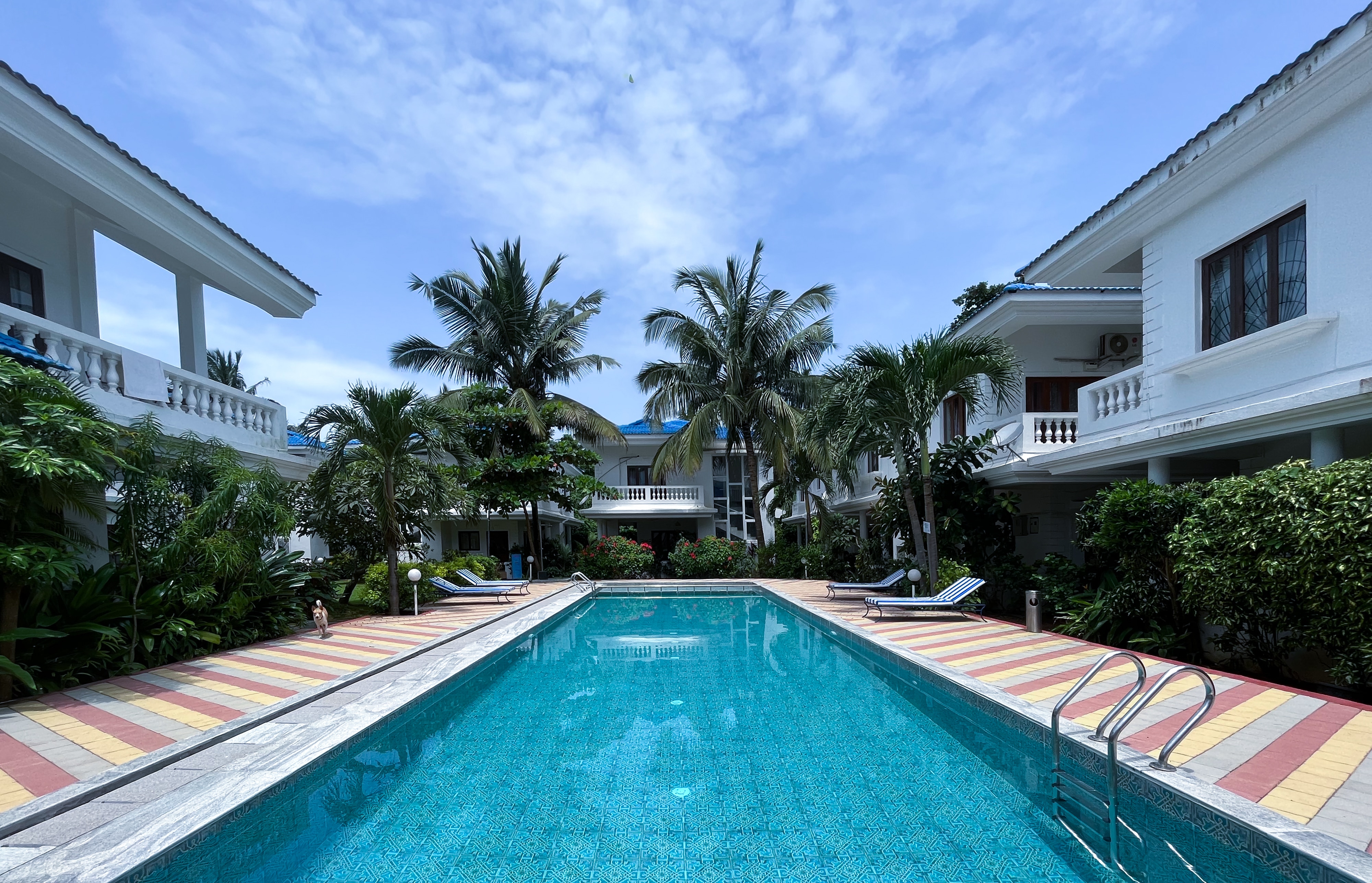 2 BHK Pool View Apartments at Casa Azure by Rainforest 𝗕𝗢𝗢𝗞 Goa Apartment
