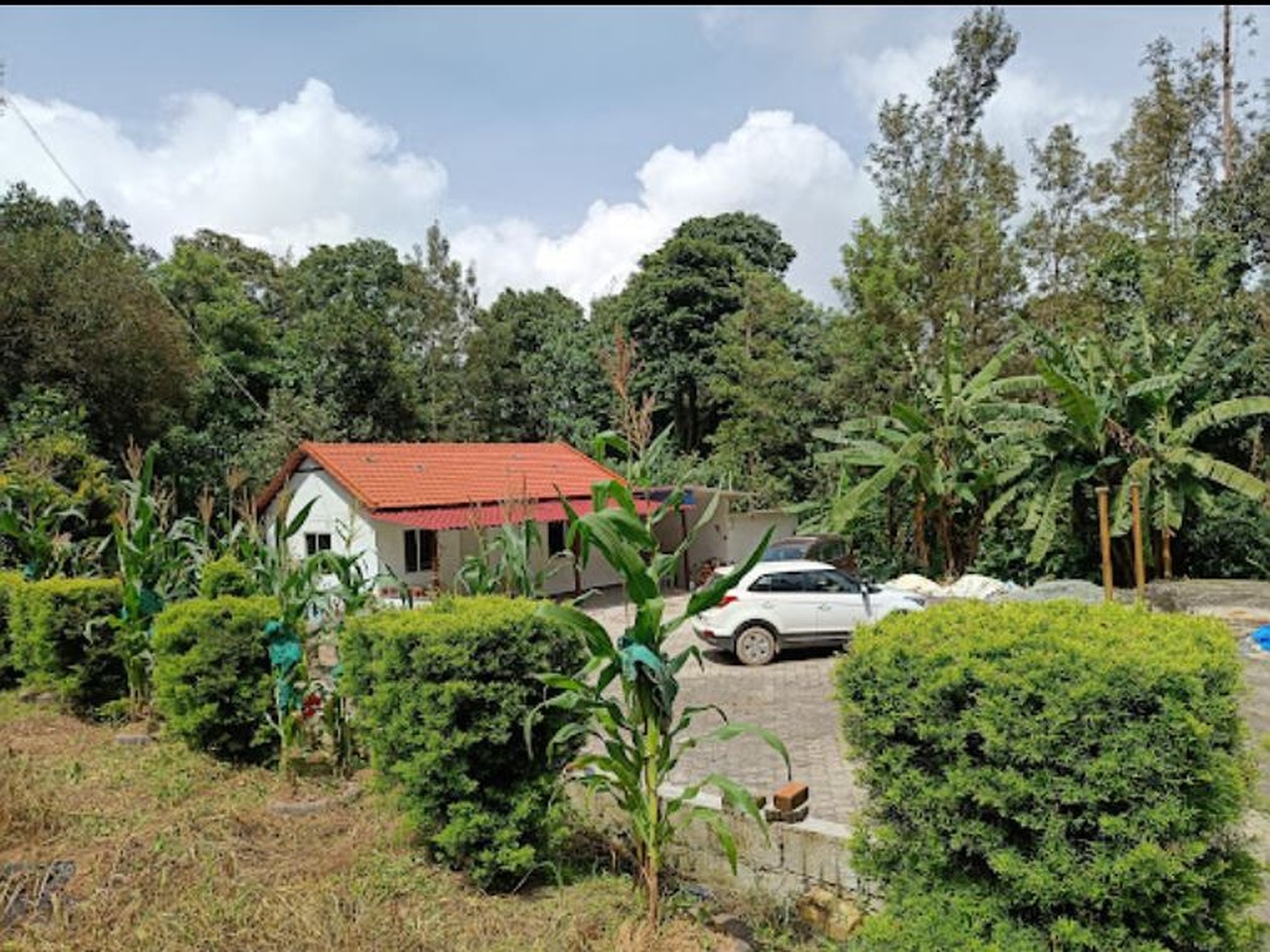 Bird Tweet Homestay 𝗕𝗢𝗢𝗞 Chikmagalur Homestay