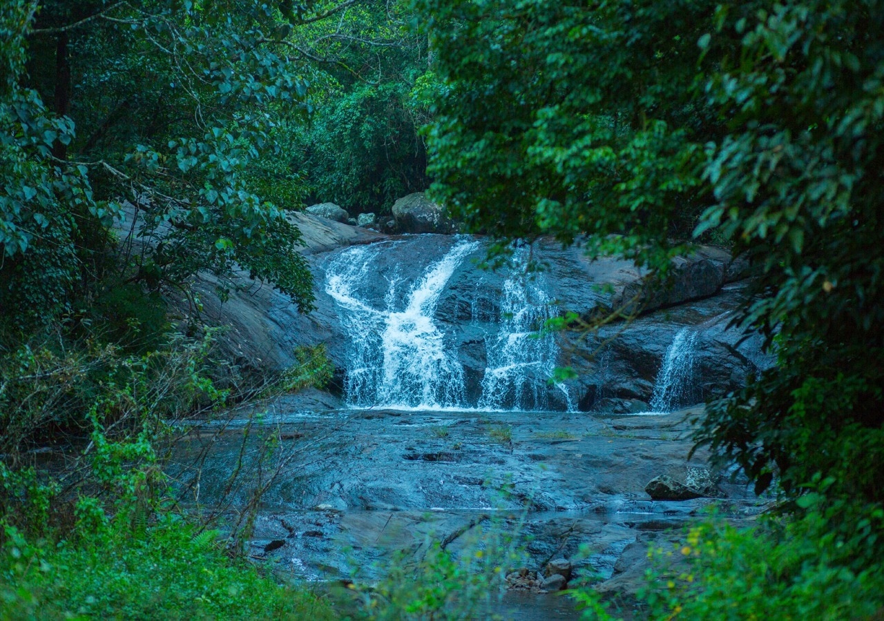 Wild Courtyard Resort Vythiri 𝗕𝗢𝗢𝗞 Wayanad Villa