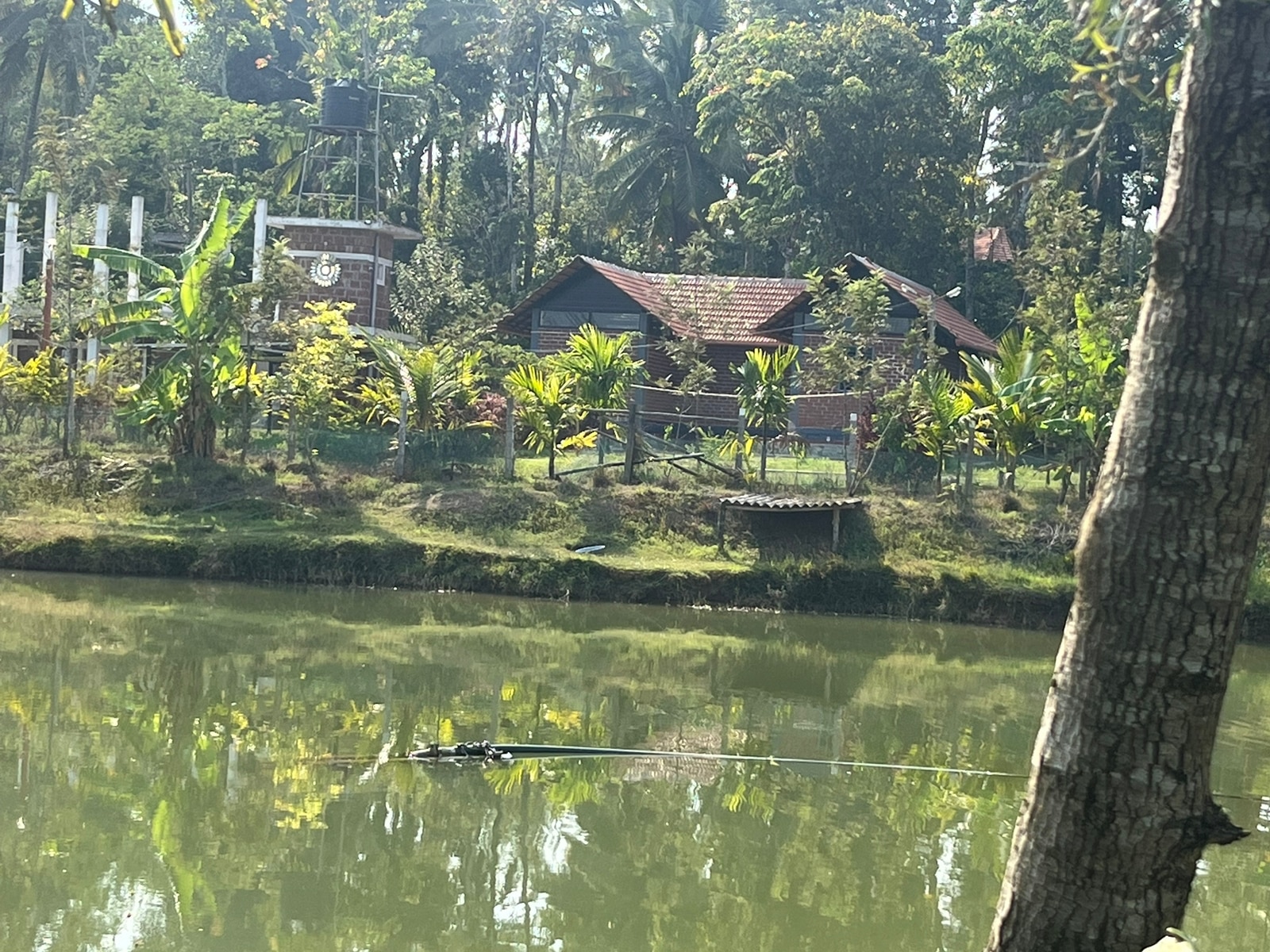 Little Flower Estate Homestay An Exclusive Experience in the Wilderness ...