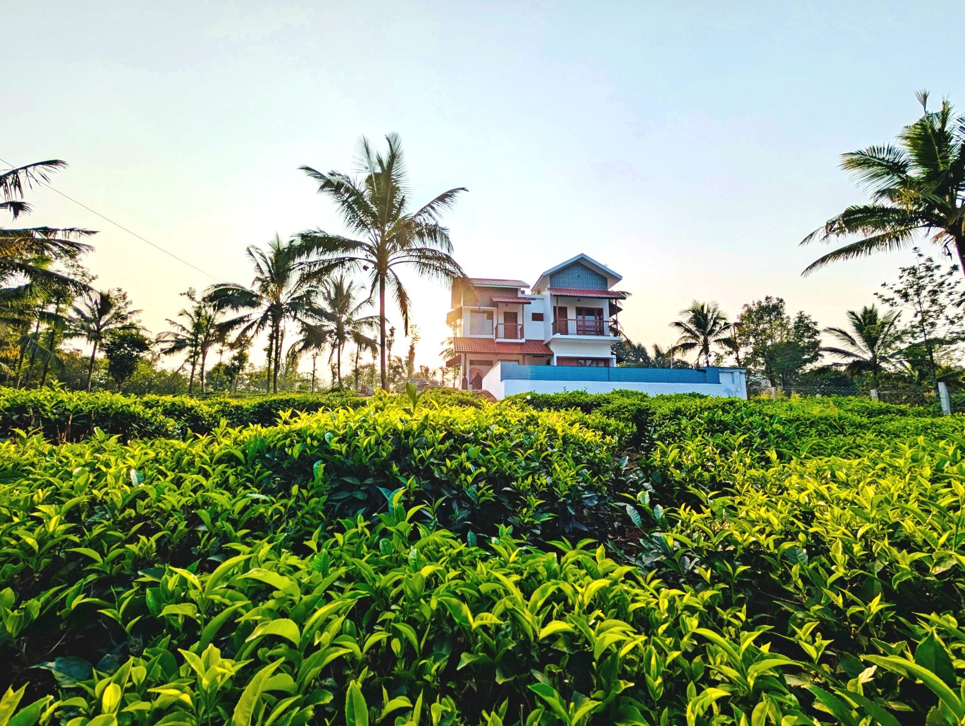 Howling Wolf. 𝗕𝗢𝗢𝗞 Wayanad Villa