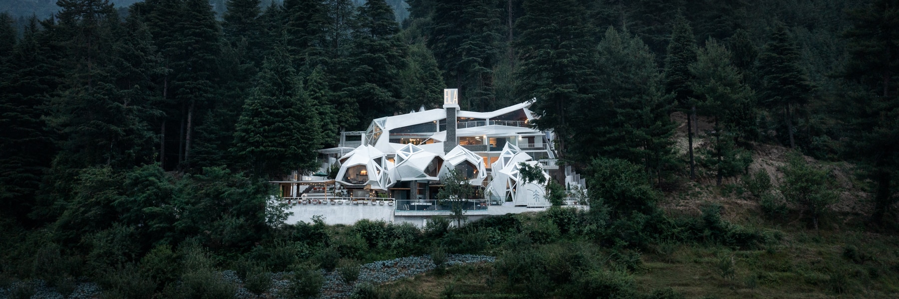 Tree of Life Eila Art Hotel, Manali Manali - Reviews, Photos & Offer