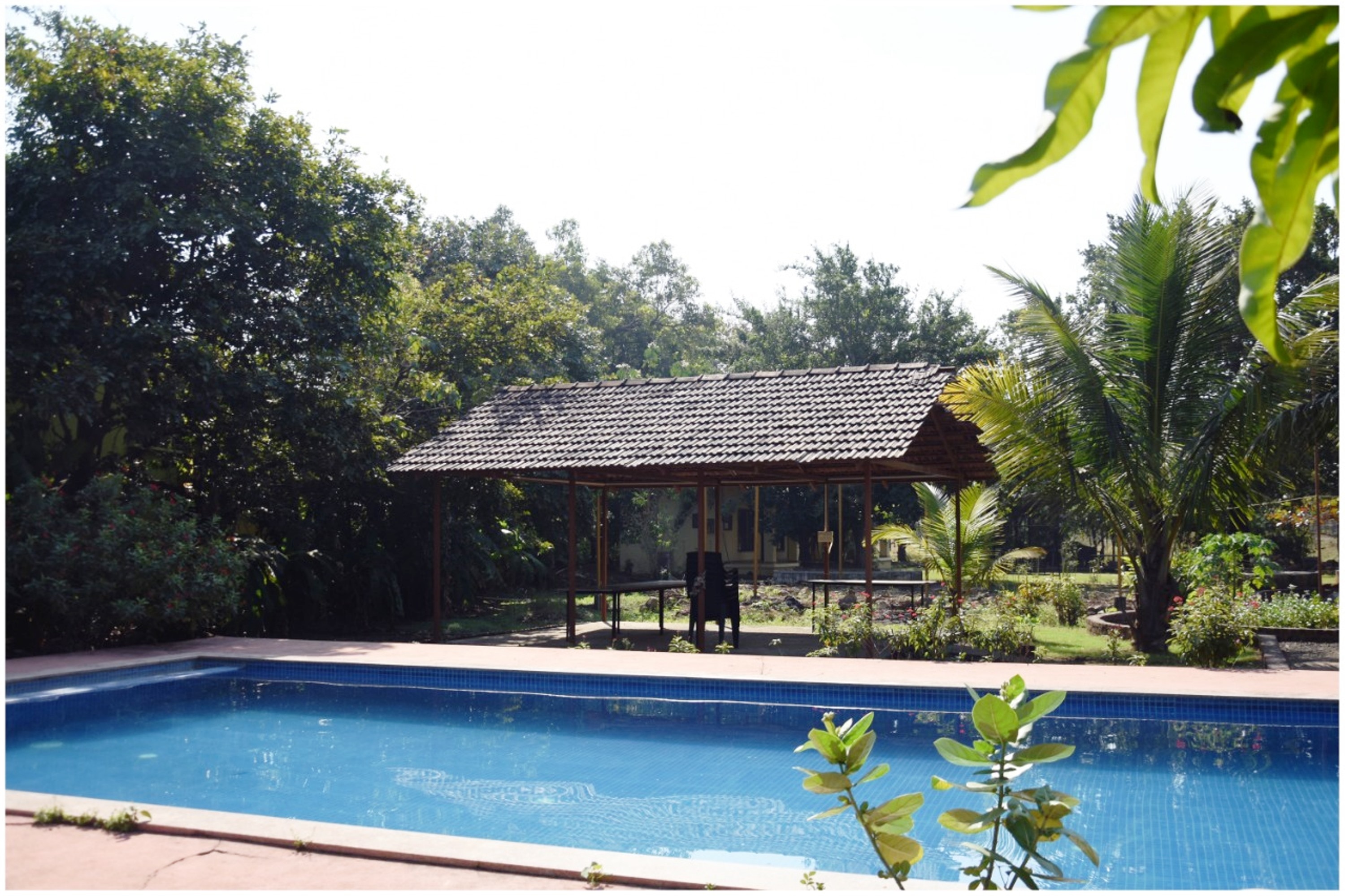 Saiesh Resort Alibaug Alibaug - Reviews, Photos & Offer