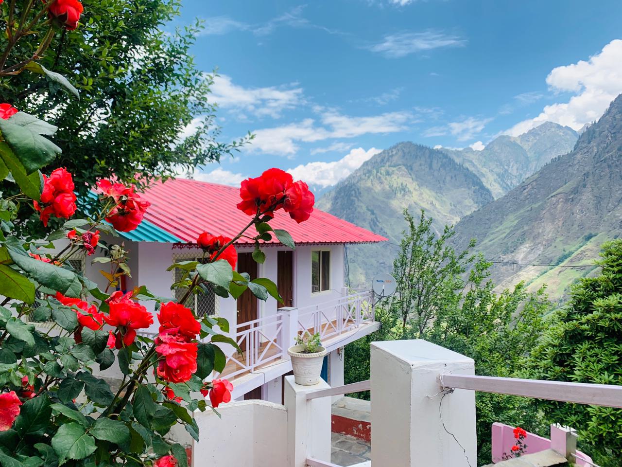 Ramneek Homestay 𝗕𝗢𝗢𝗞 Joshimath Homestay