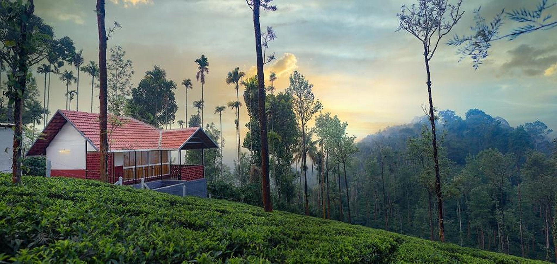 Mayflower Holiday Villa 𝗕𝗢𝗢𝗞 Wayanad Villa