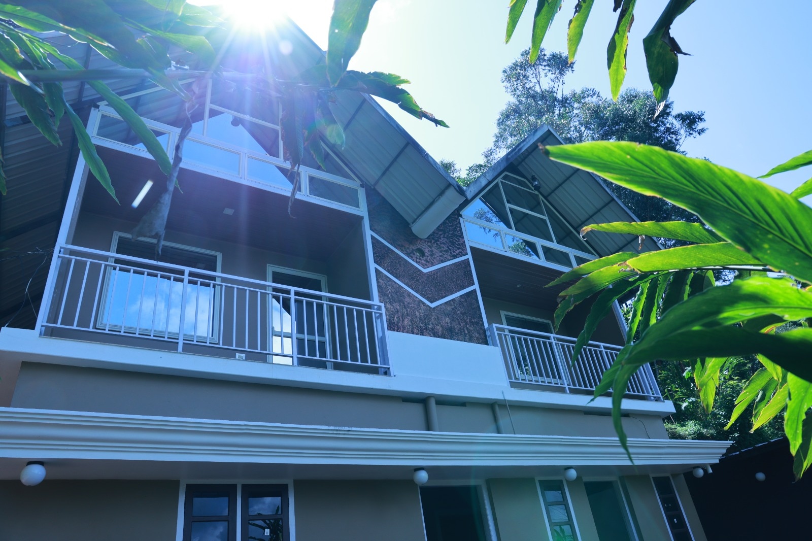 Nest In Mist In 𝗕𝗢𝗢𝗞 Munnar Villa