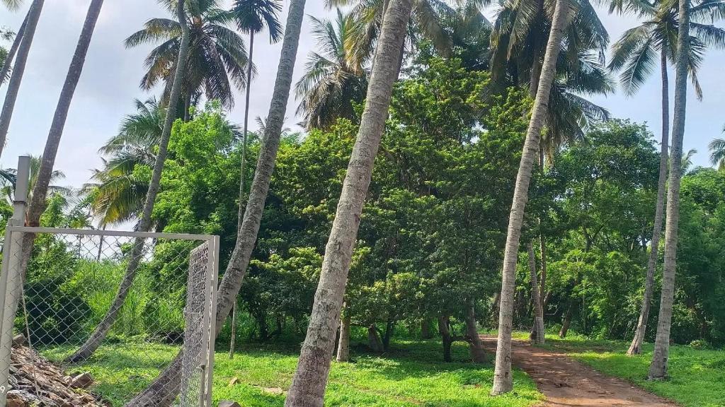 Manvith's Heritage RiverRetreat 𝗕𝗢𝗢𝗞 Pandavapura Homestay