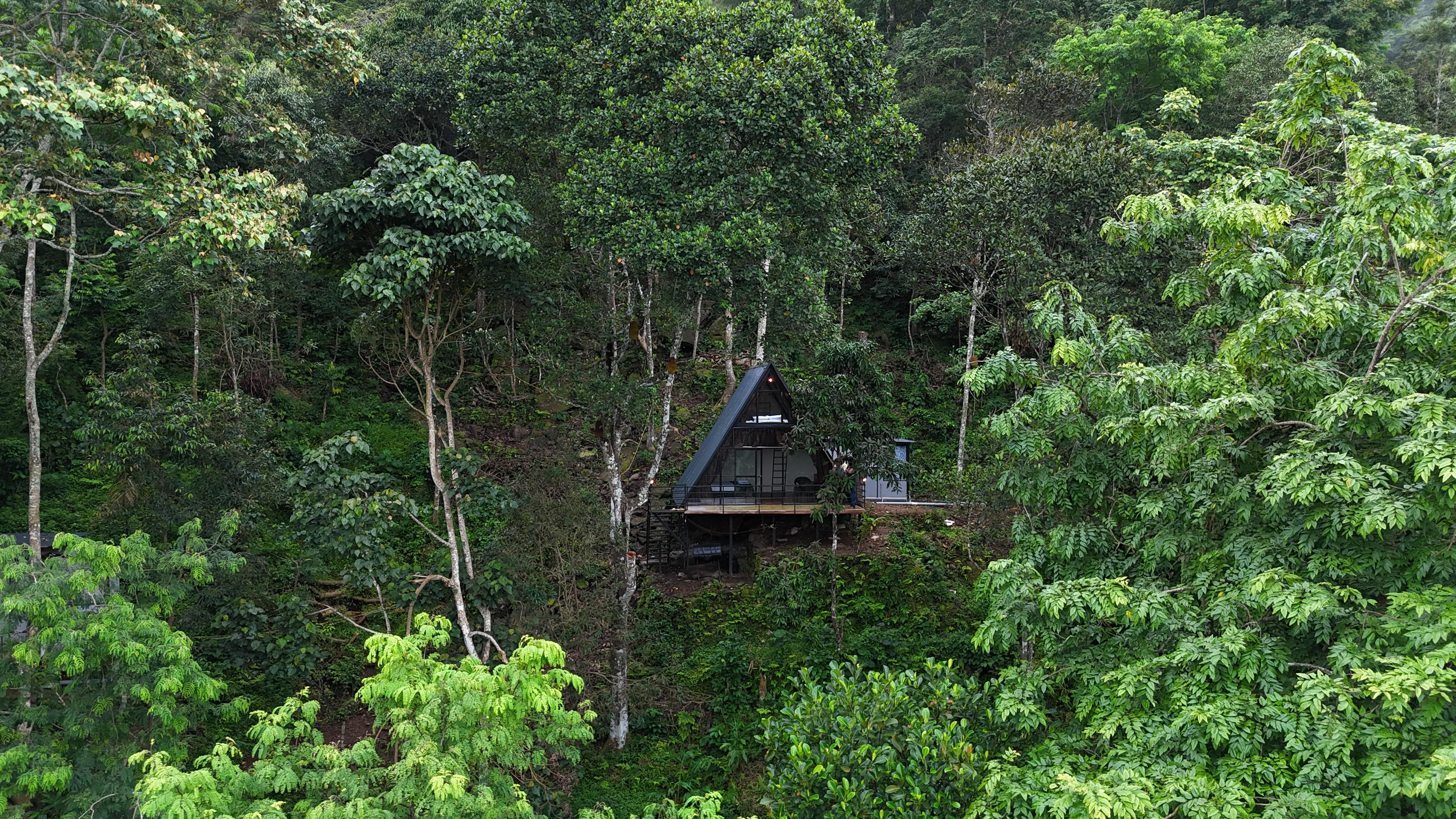 Munnar Monkeys Paw Cottage 𝗕𝗢𝗢𝗞 Munnar Cottage