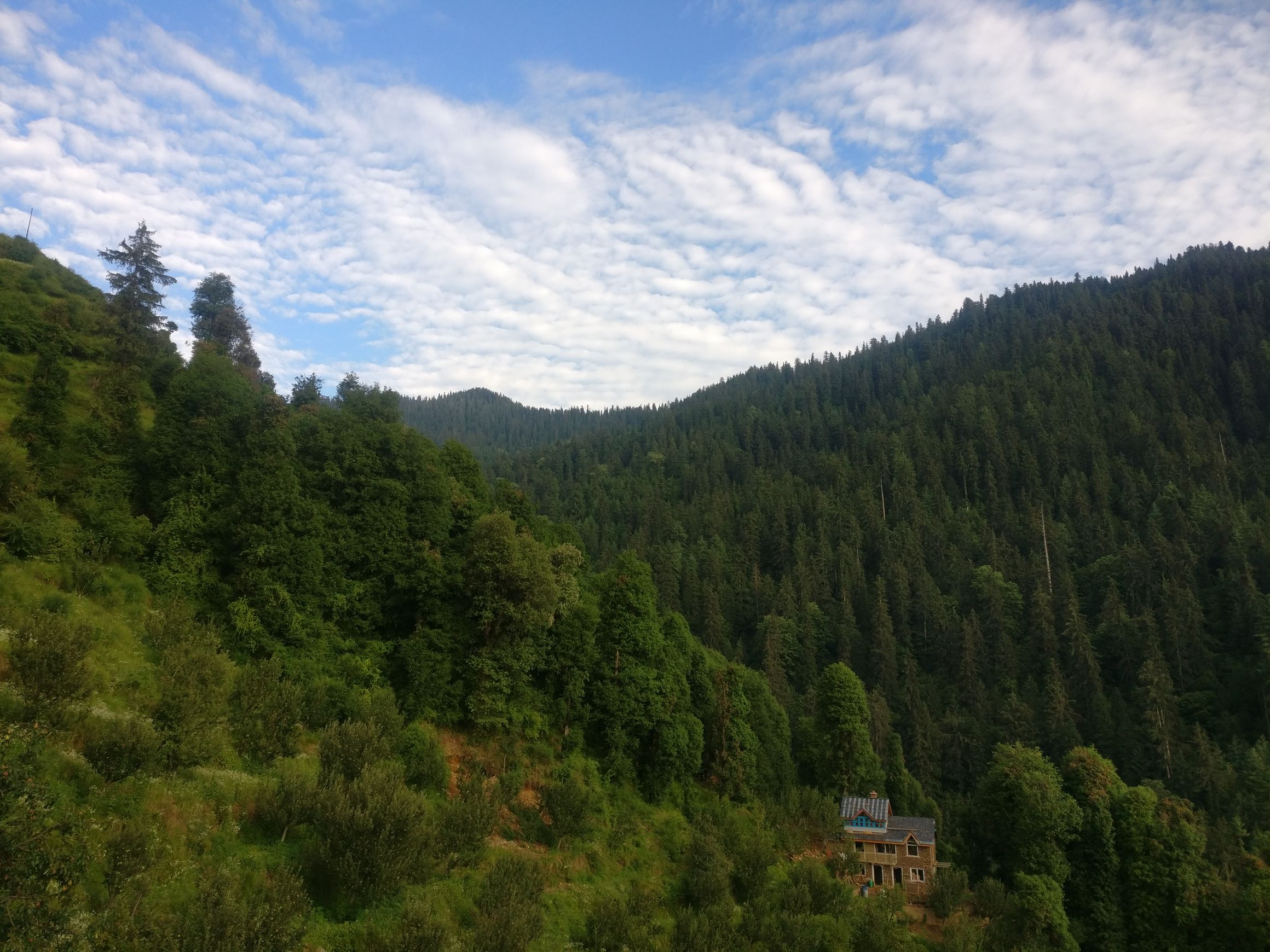 Stay in Apple orchard country house. village type 𝗕𝗢𝗢𝗞 Chaupal