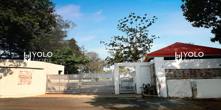 YOLOFarms 920 𝗕𝗢𝗢𝗞 Olpad Farm House