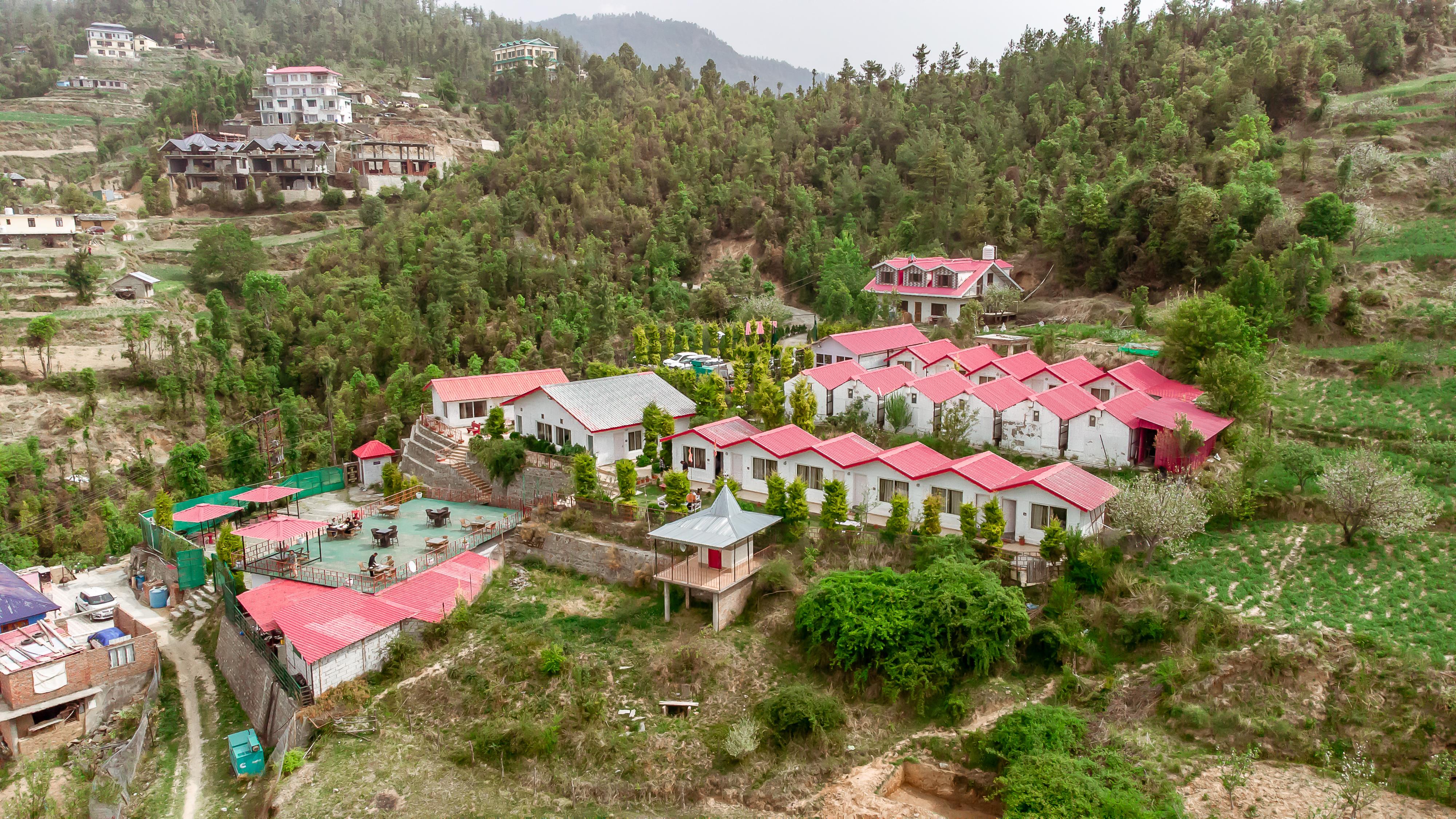Nature Nest Eco Resort - Beautiful Sunset & Valley View , Chail ,Shimla ...