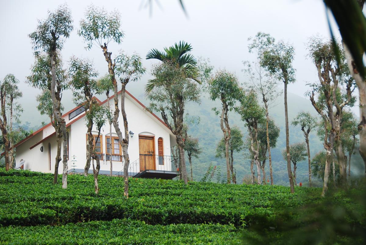 Tea Terrace Vythiri Resort 𝗕𝗢𝗢𝗞 Wayanad Resort