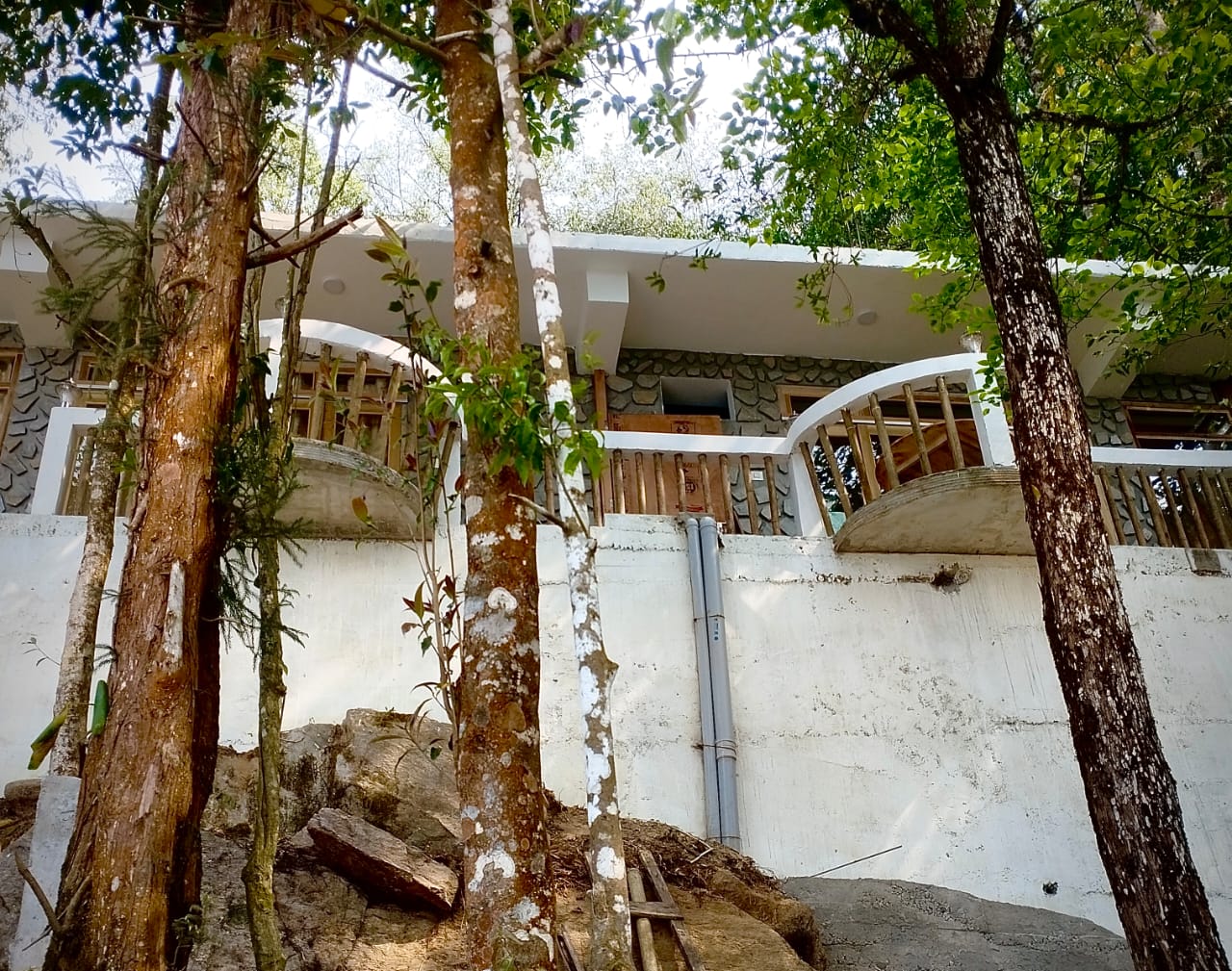 Prakri Tree Cottage & Farms 𝗕𝗢𝗢𝗞 Darjeeling Cottage