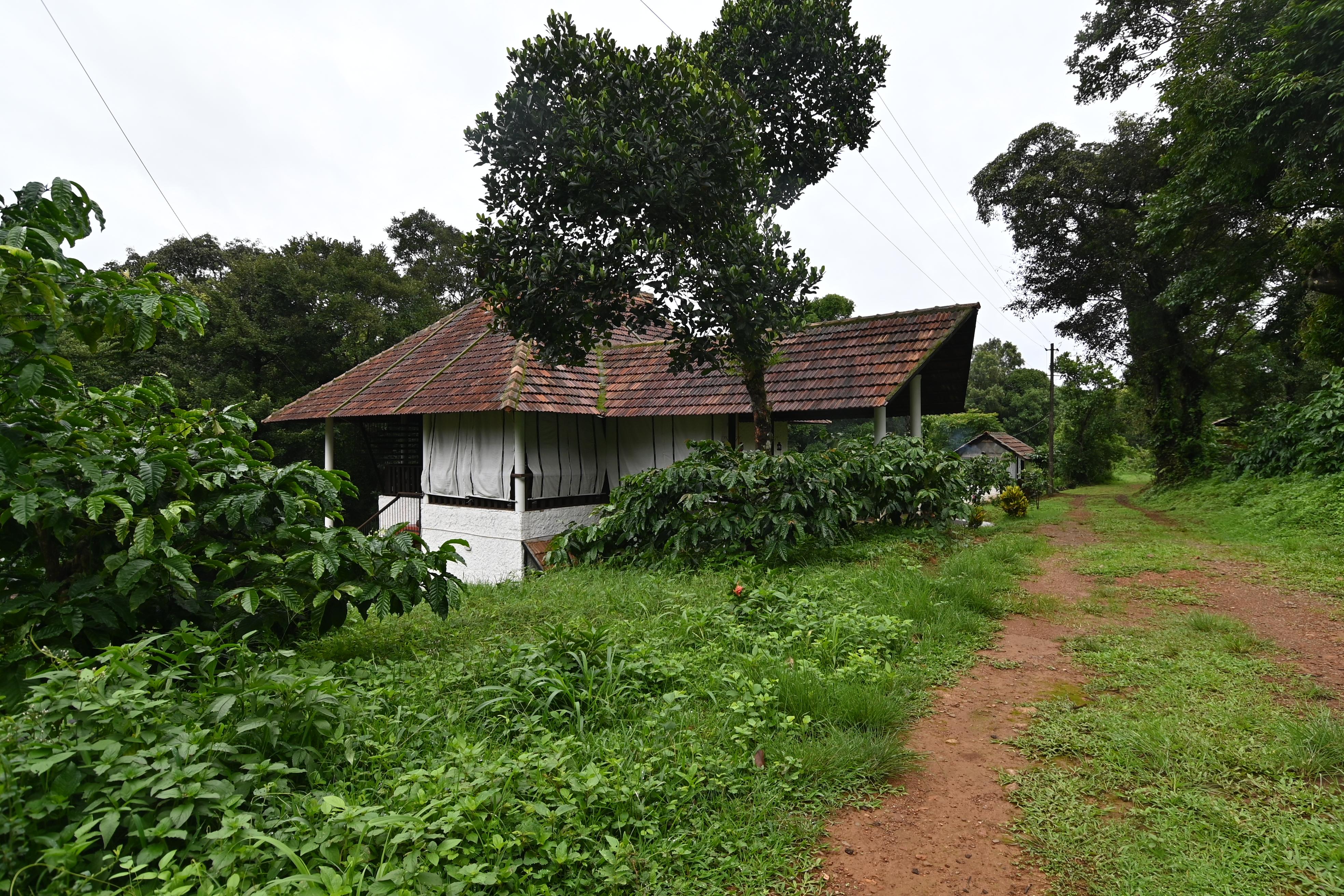 T Stop Farmhouse 𝗕𝗢𝗢𝗞 Coorg Farm House