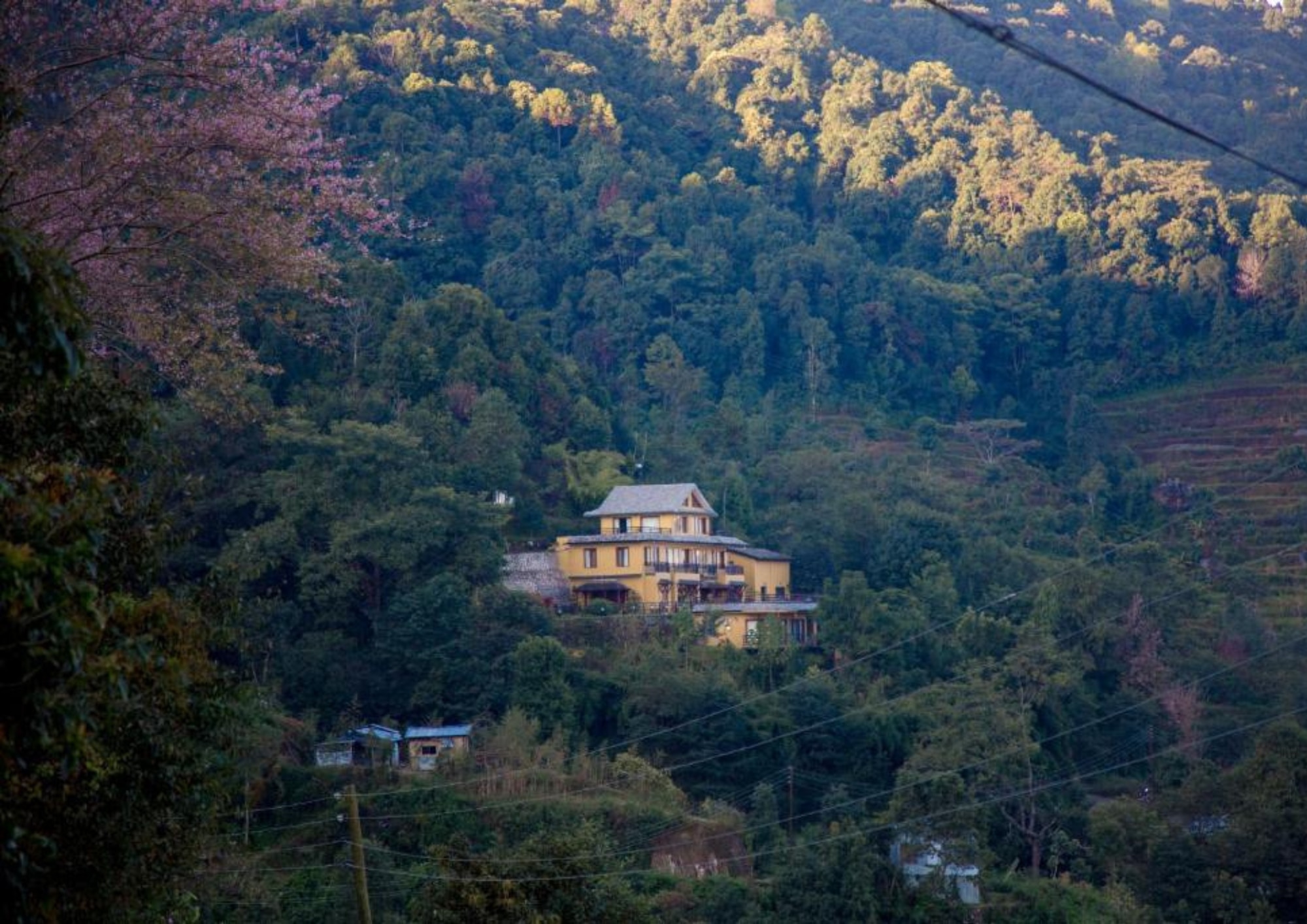 The Lapsi Tree resort, Nagarkot, Central @USD 65 - The Lapsi Tree ...