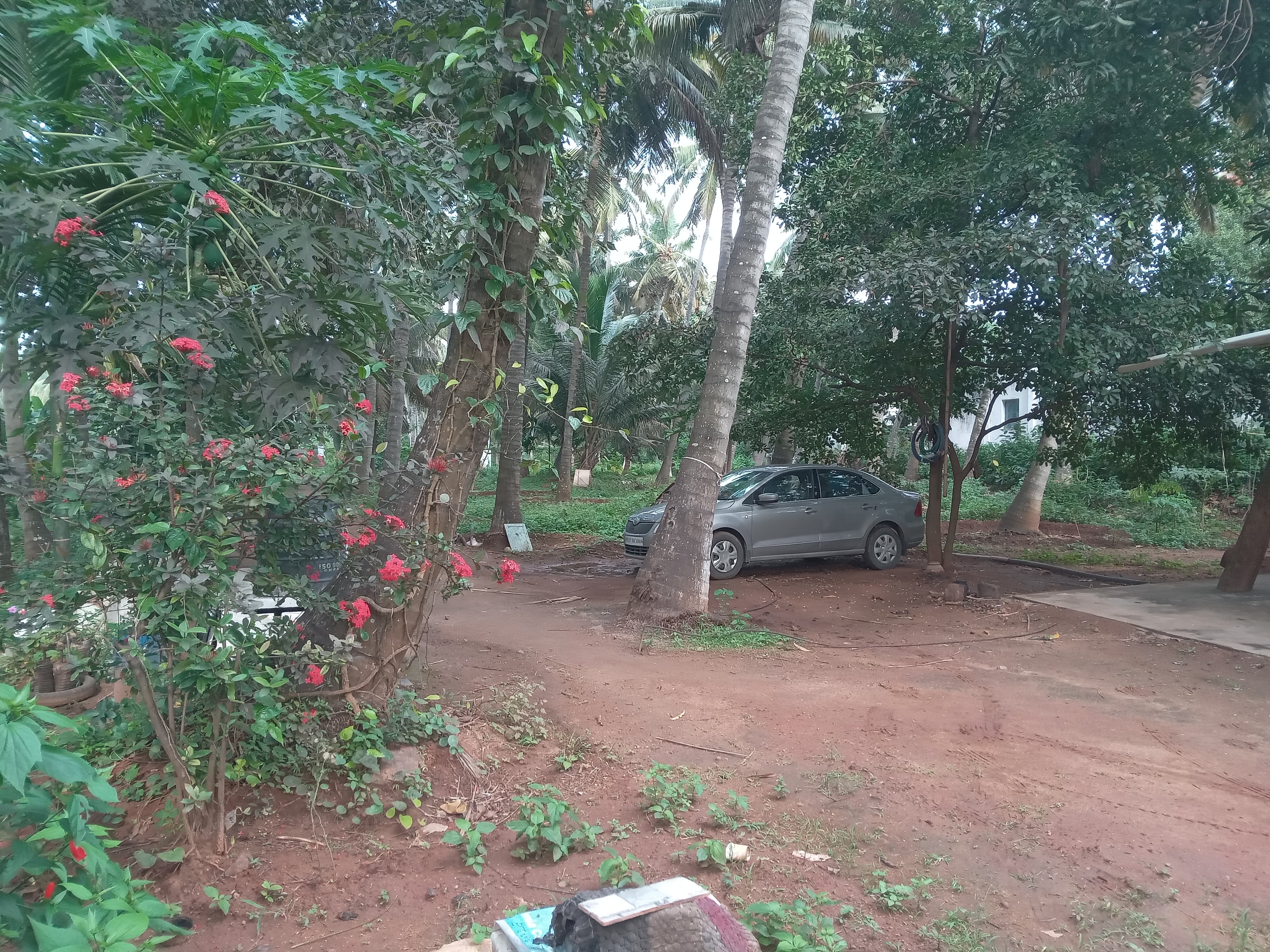 village homestay 𝗕𝗢𝗢𝗞 Pollachi Farm House