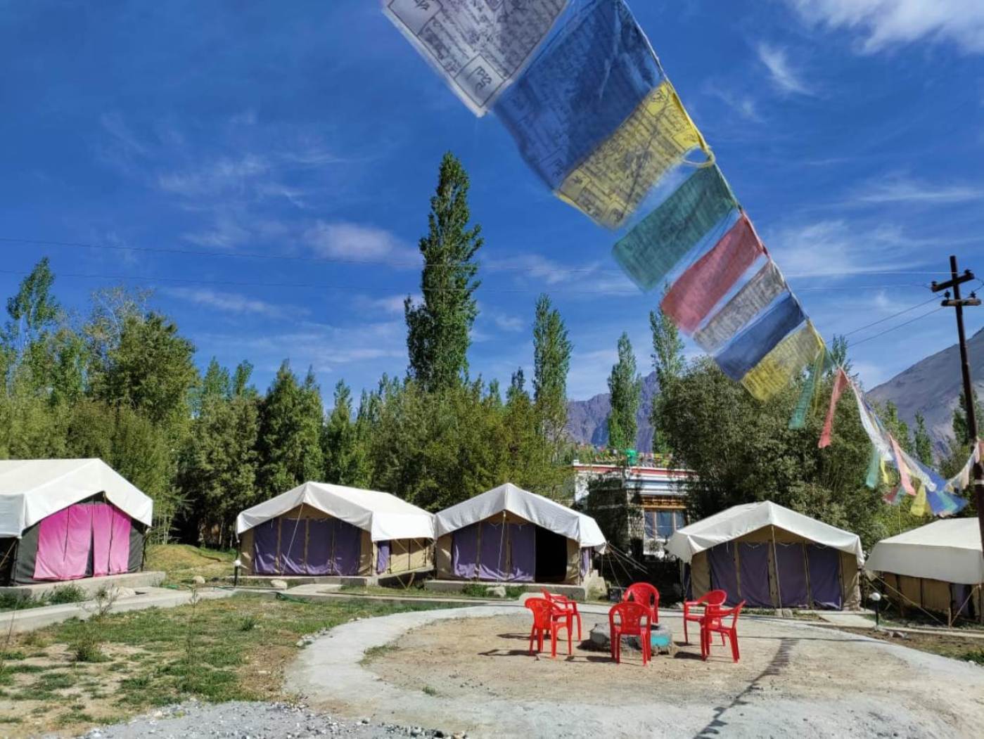 Nubra Delight Camp | Tents & Homely Meals 𝗕𝗢𝗢𝗞 Nubra Valley Camp