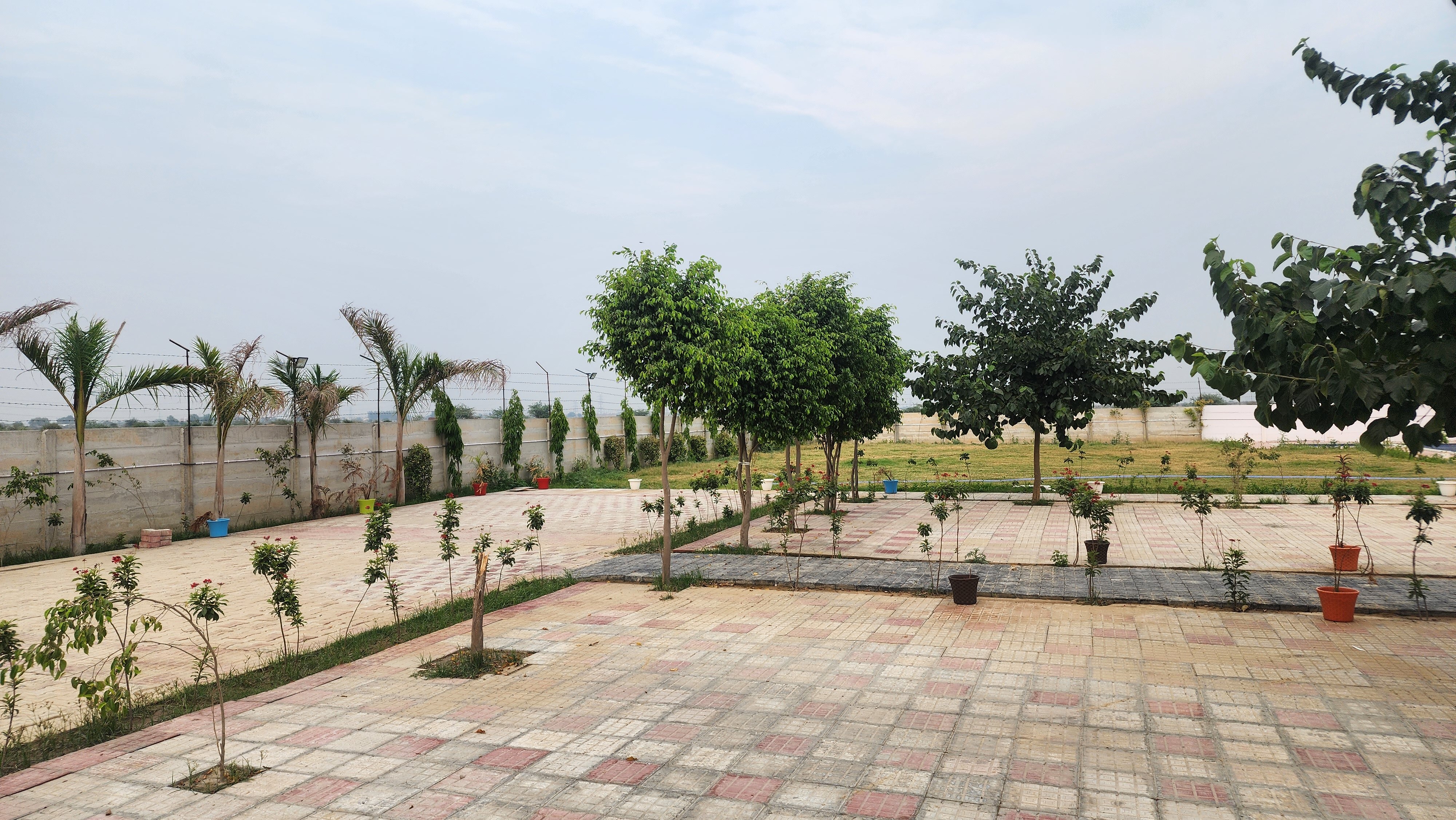 White Rabbit Farms 𝗕𝗢𝗢𝗞 Noida Farm House