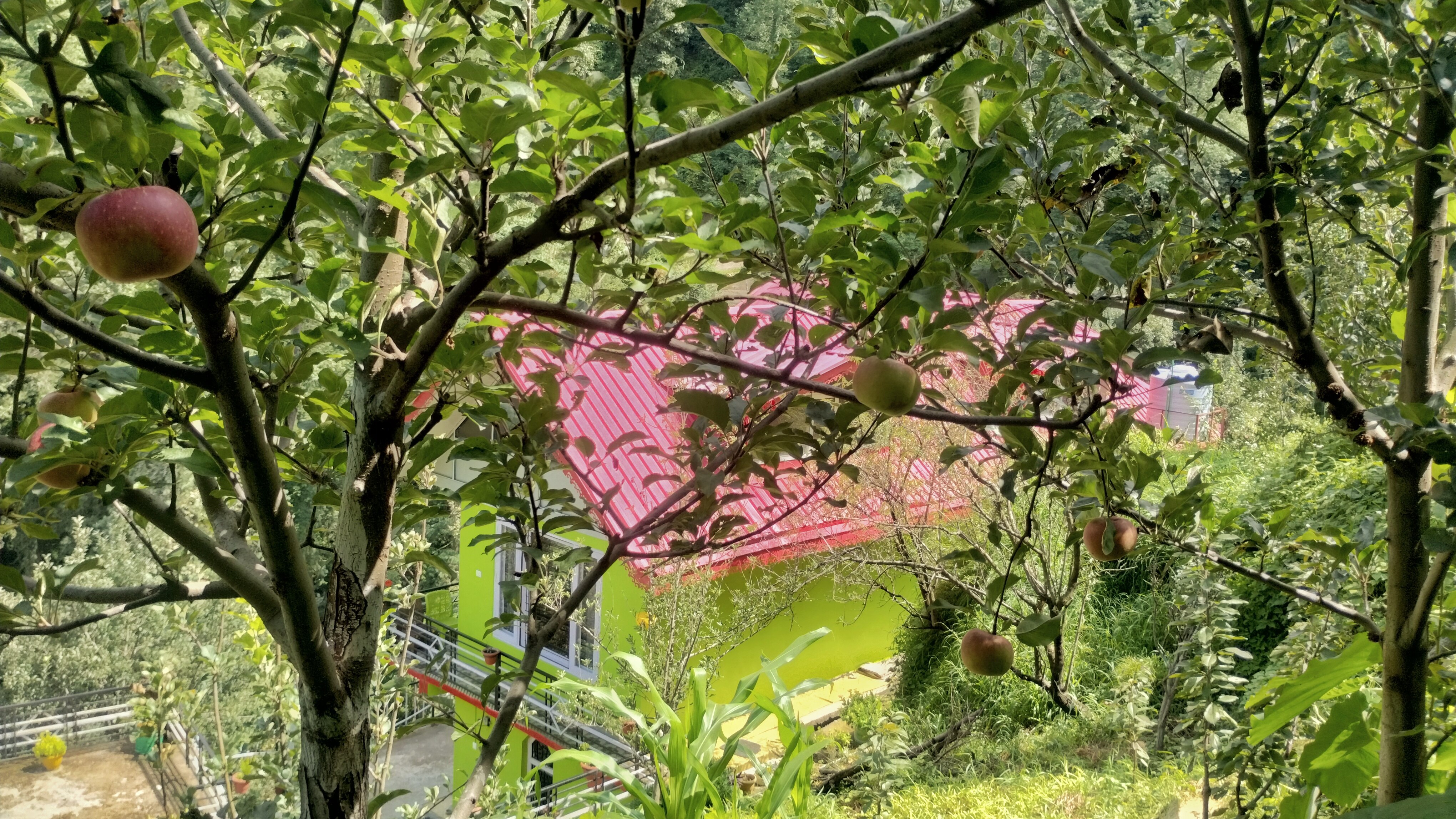 Apple Blossom Hideaway 𝗕𝗢𝗢𝗞 Narkanda Villa
