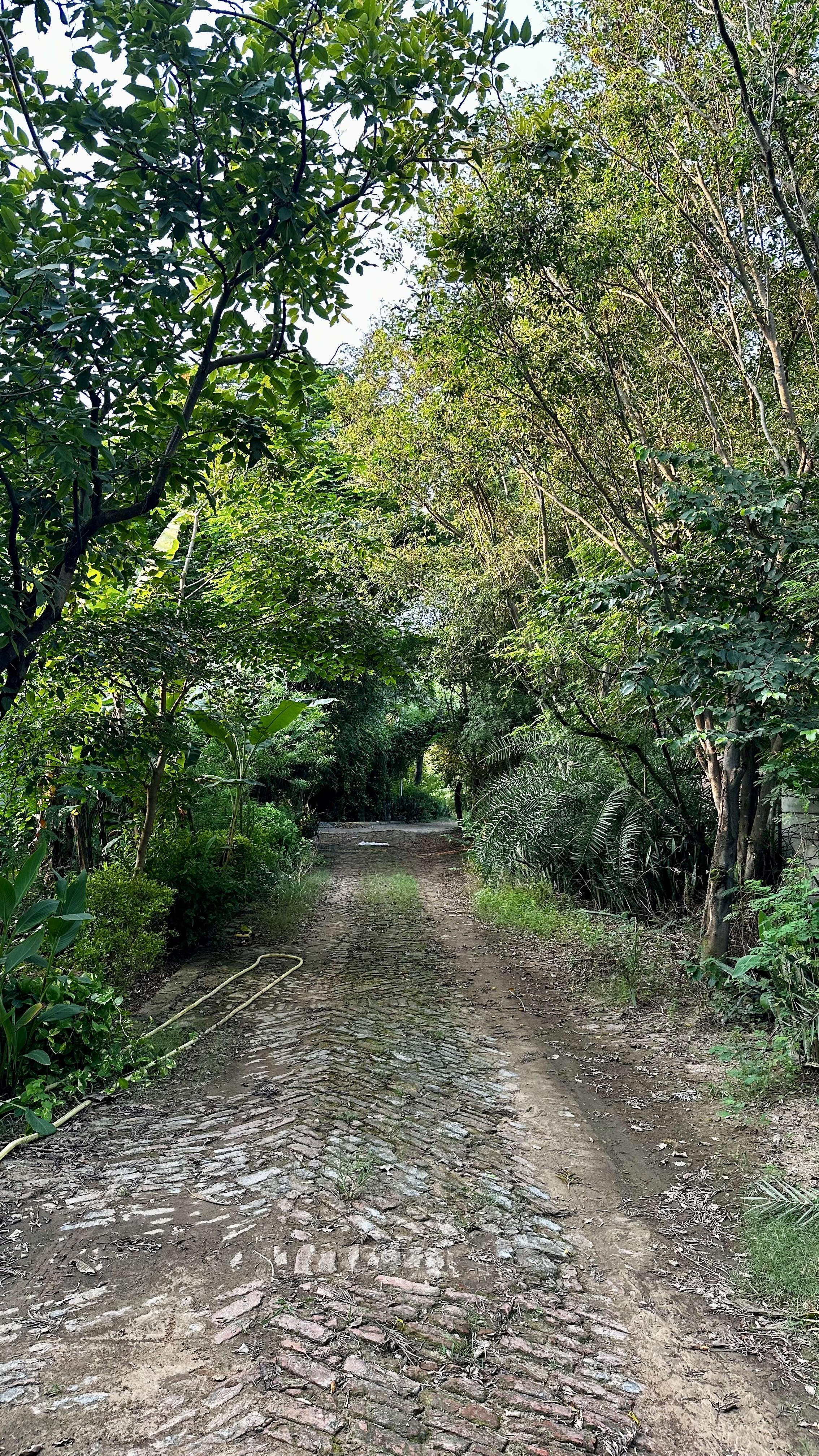 The Royal Farm 𝗕𝗢𝗢𝗞 Sohna Homestay