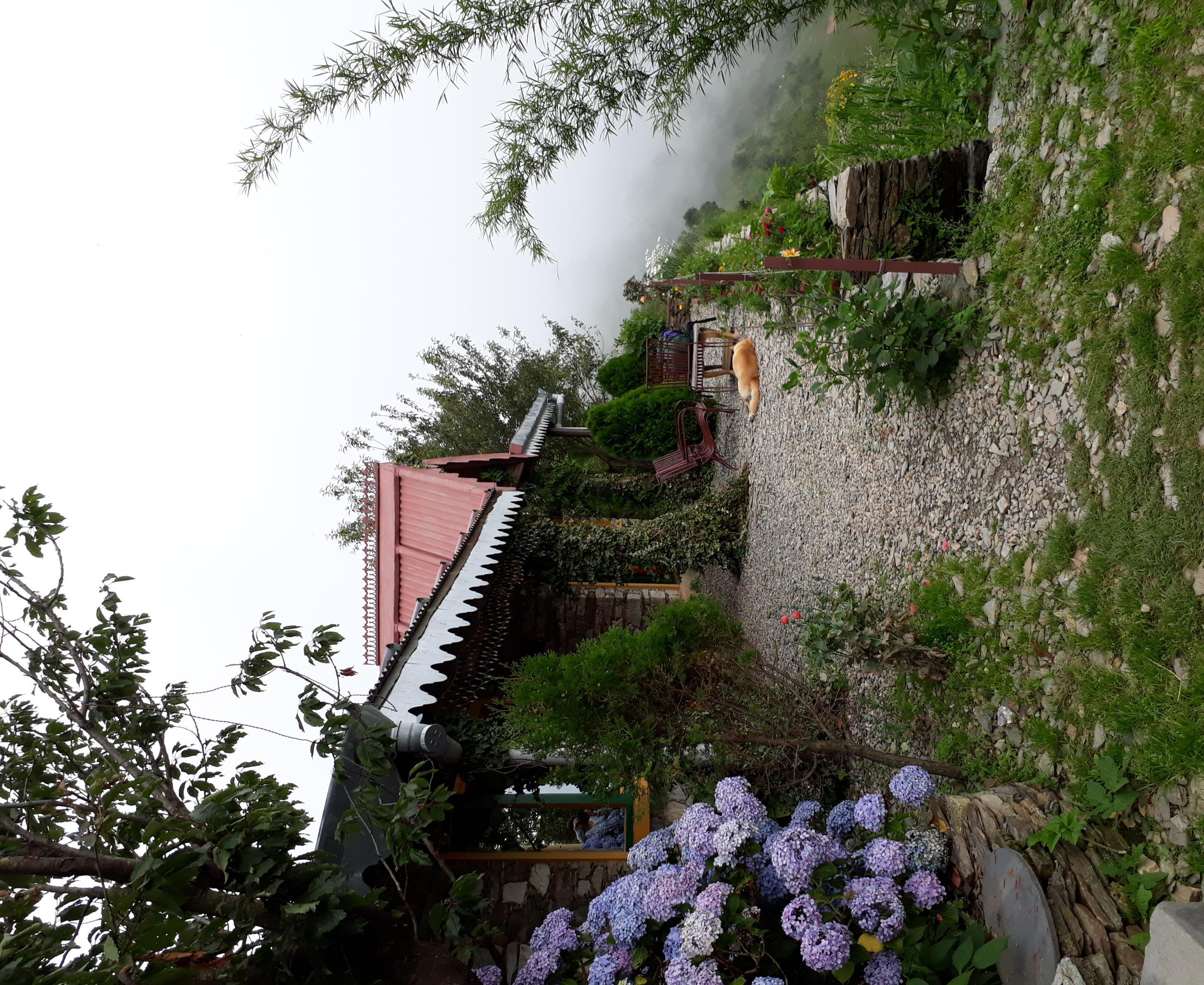 The Oak Trails Eco Lodge Pangot - Reviews, Photos & Offer