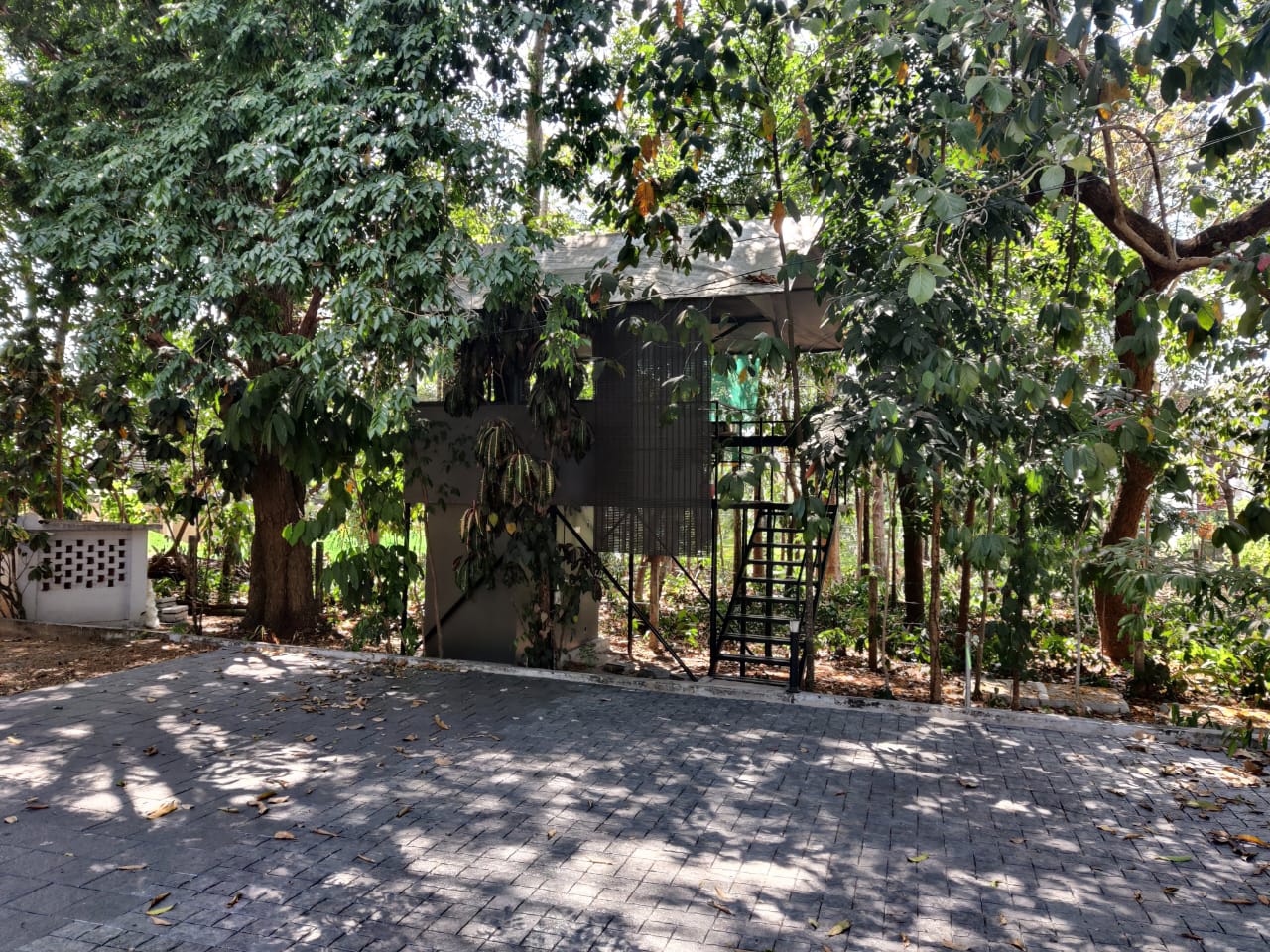 Hemera Kochi Tree Cabin Tree house Cochin - Reviews, Photos & Offer