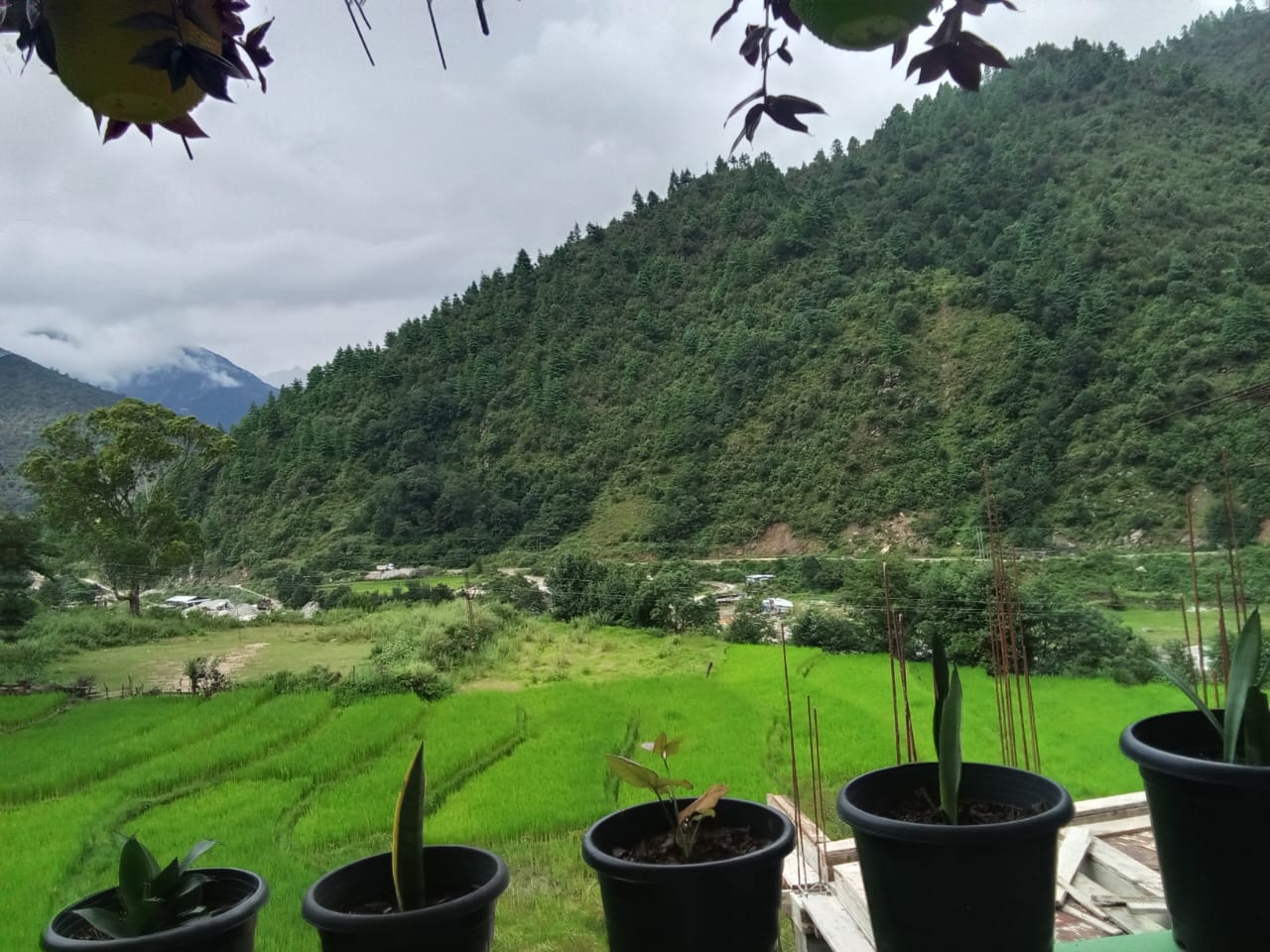 Rooms of ETON HOMESTAY - Homestay in Bomdila
