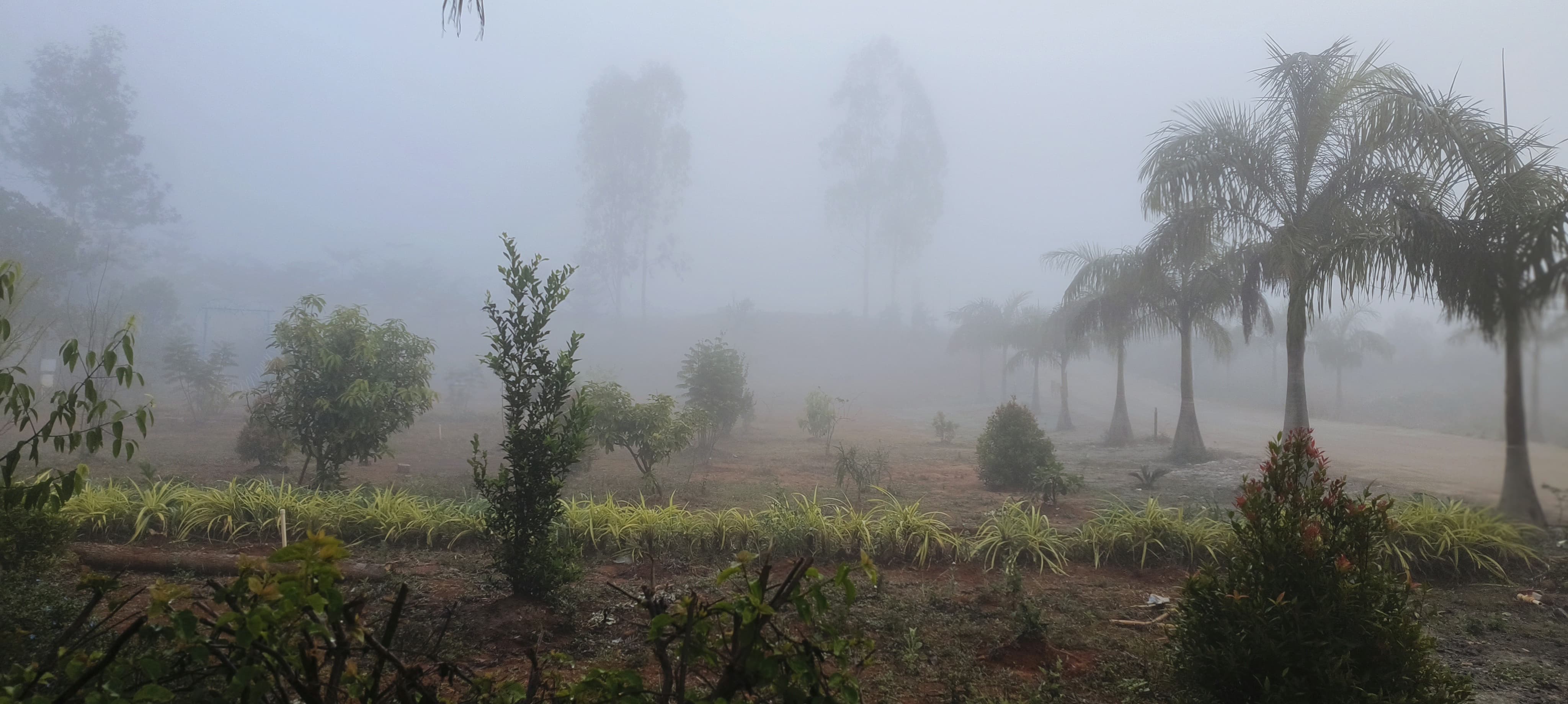 Photos of GOOD MORNING RESORTS - Resort in Araku Valley