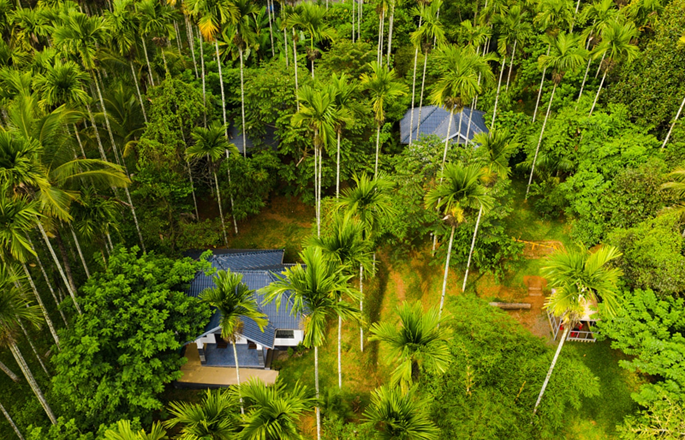 Vintage Garden Resort | Stay Amidst Bamboo Forest Wayanad - Reviews ...