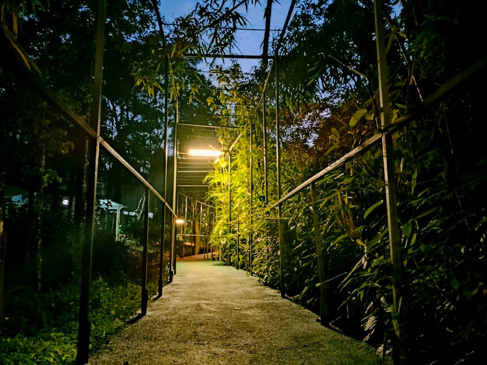 RIVER WOOD RESORT -VYTHIRI Wayanad - Reviews, Photos & Offer