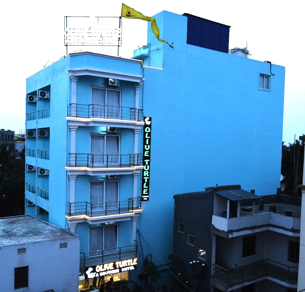 Rooms of Olive turtle - Hotel in Puri