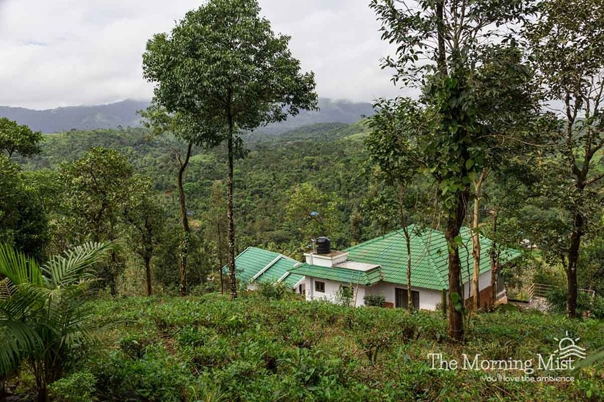 The Morning mist 𝗕𝗢𝗢𝗞 Wayanad Villa