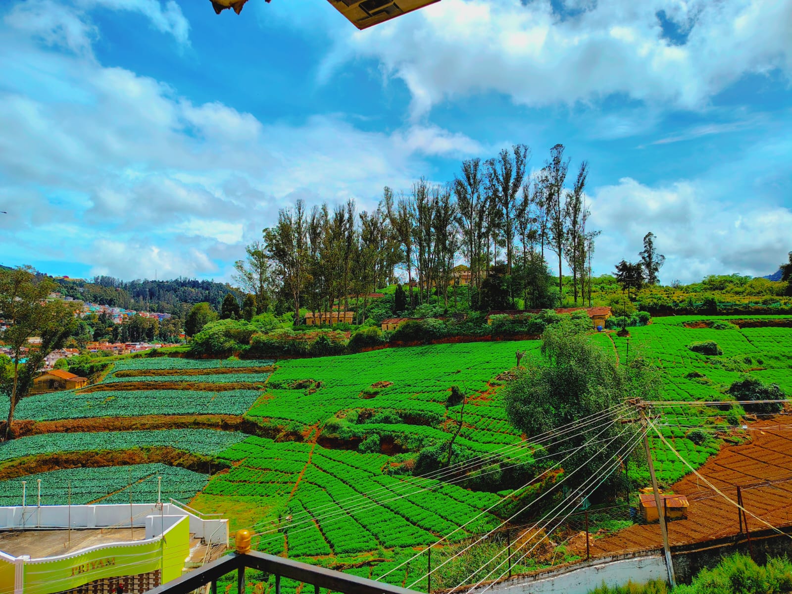 Peace Ark Hill View Homestay Ooty - Reviews, Photos & Offer