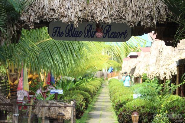 Blue Bird Resort - Lawn