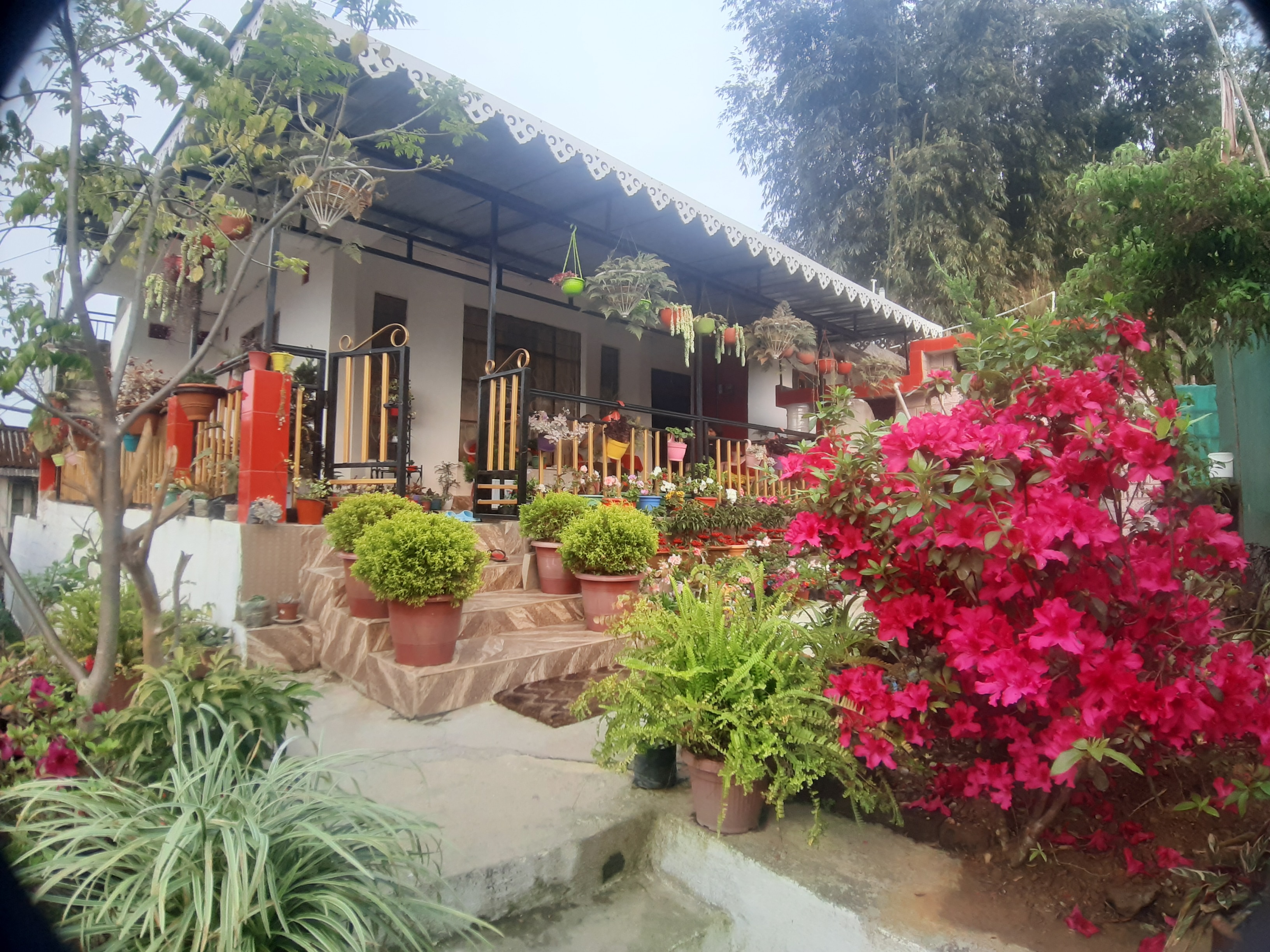 Teesta Valley Homestays 𝗕𝗢𝗢𝗞 Darjeeling Homestay