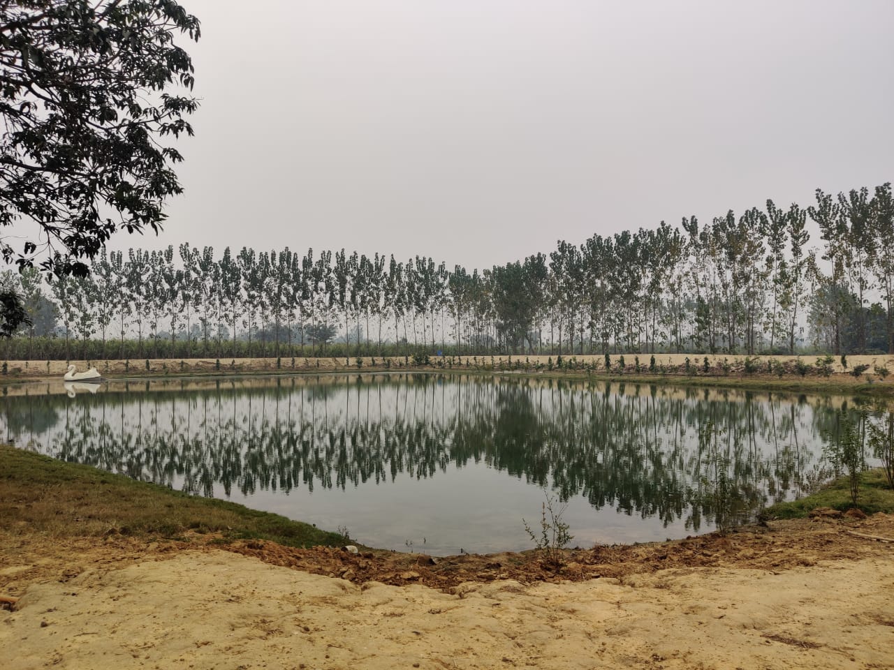 Hotel Raj Nature Park Mawana - Reviews, Photos & Offer