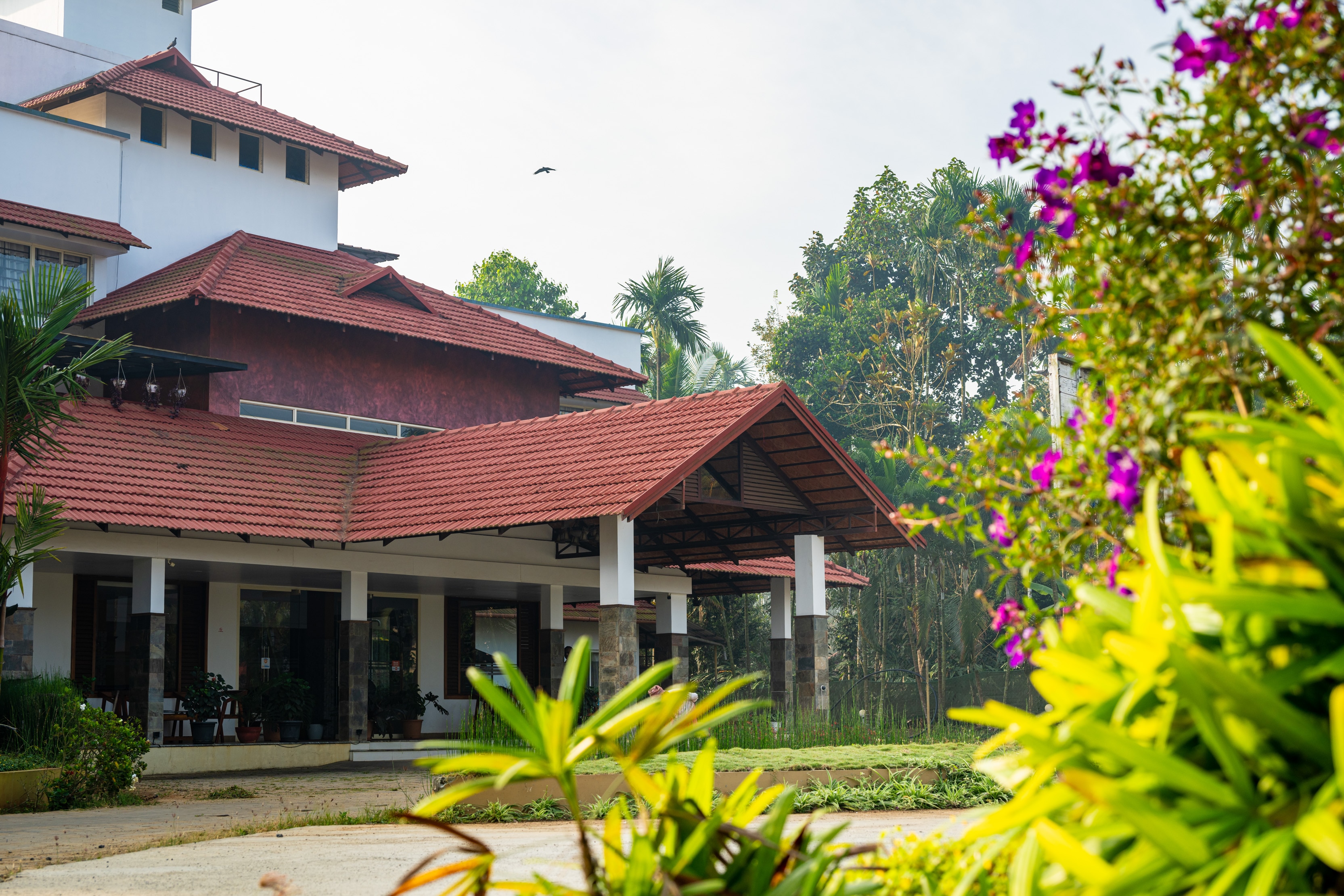 Mount Avenue Wayanad Hotel Wayanad - Reviews, Photos & Offer