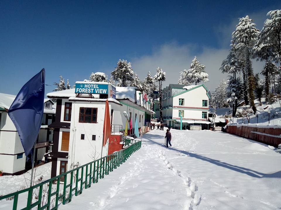 Hotel forest View Patnitop - Reviews, Photos & Offer