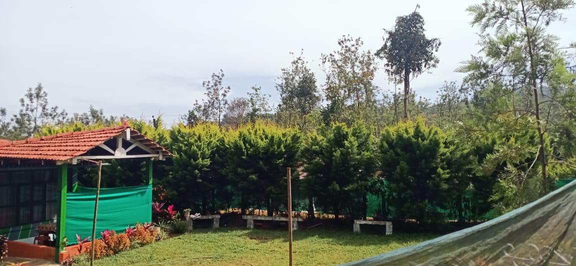 Address of STAY IN GREEN HOMESTAY - Homestay in Chikmagalur