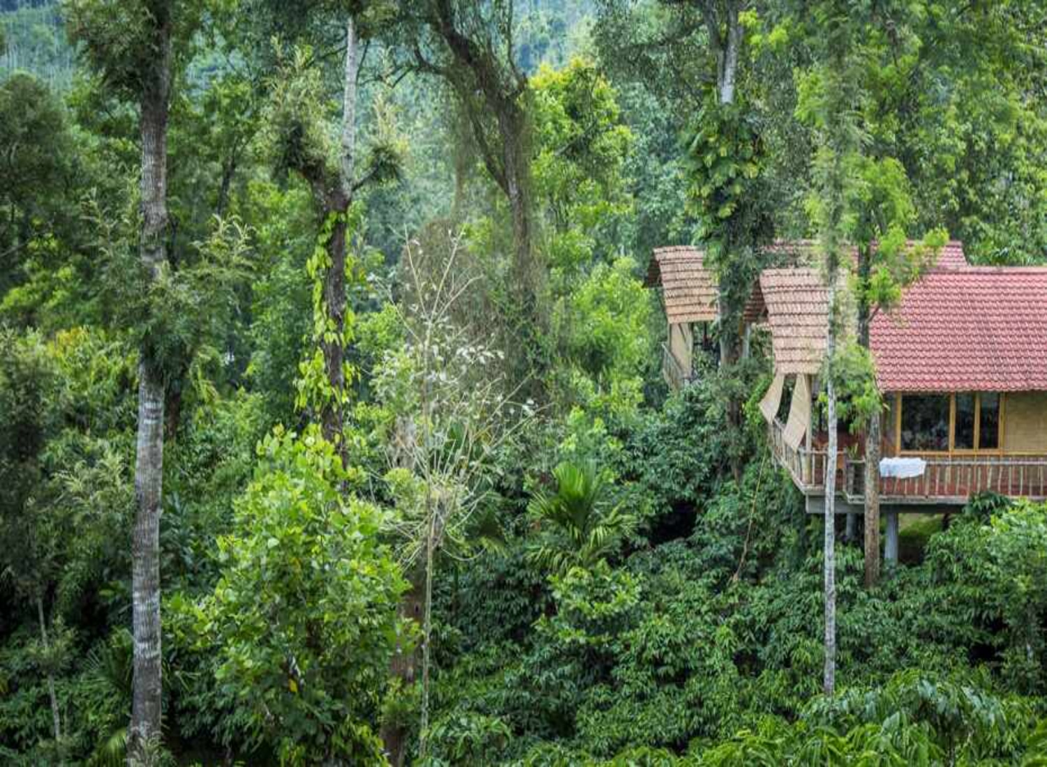 The Coffee County Resorts Wayanad - Reviews, Photos & Offer