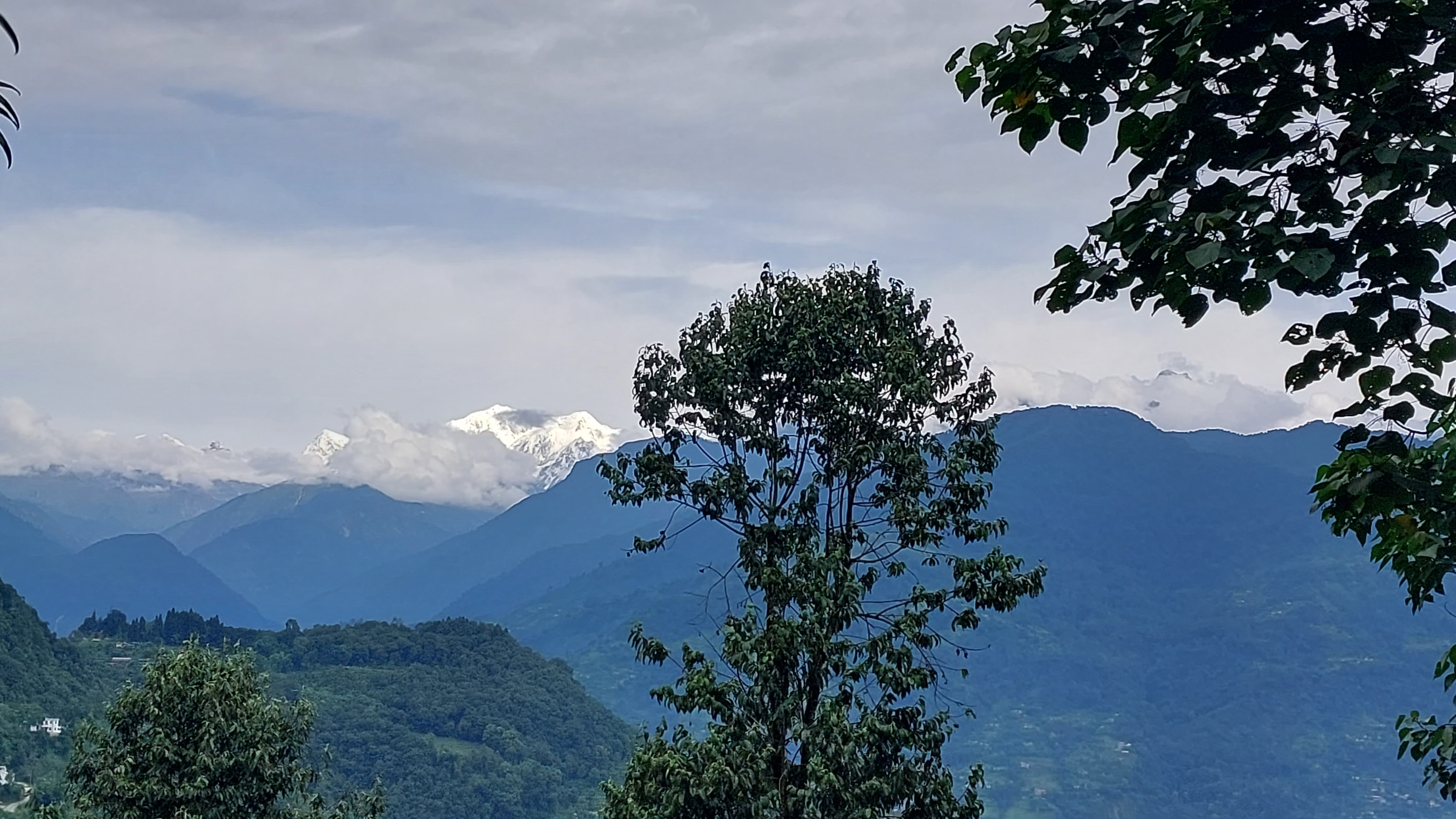 Norbulingka Retreat Homestay Pelling - Reviews, Photos & Offer