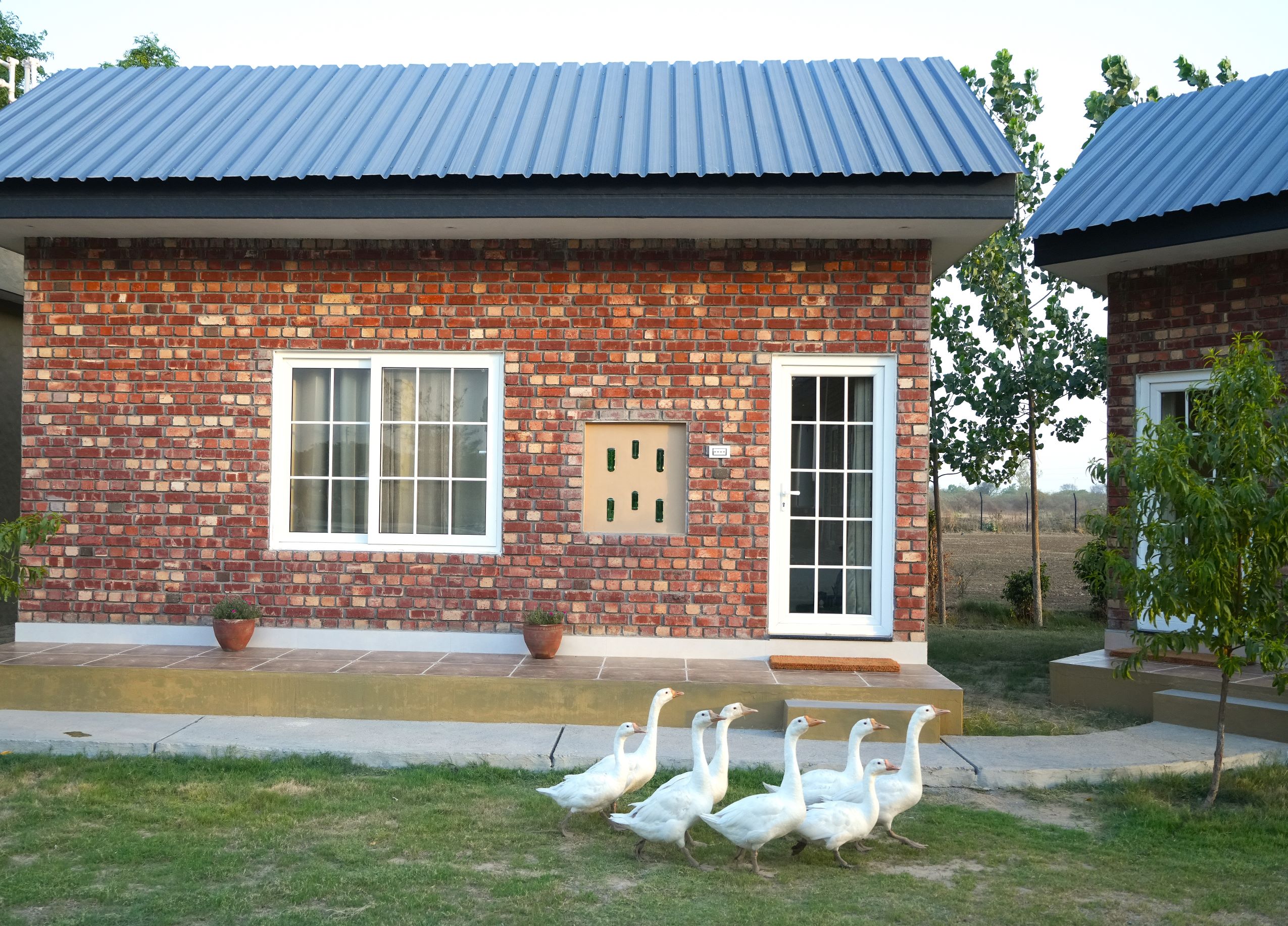 Rooms of Rustic Roots Farmhouse - Farm House in Amritsar