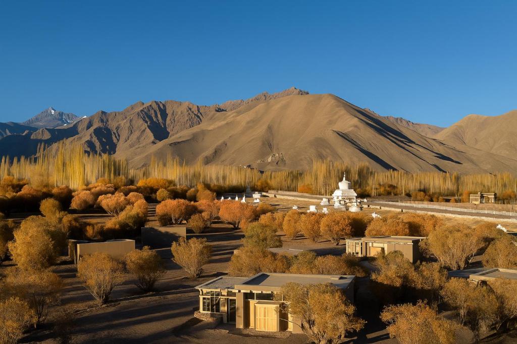 The Postcard in the Himalayan Willows , Stok, Leh Resort Leh - Reviews ...