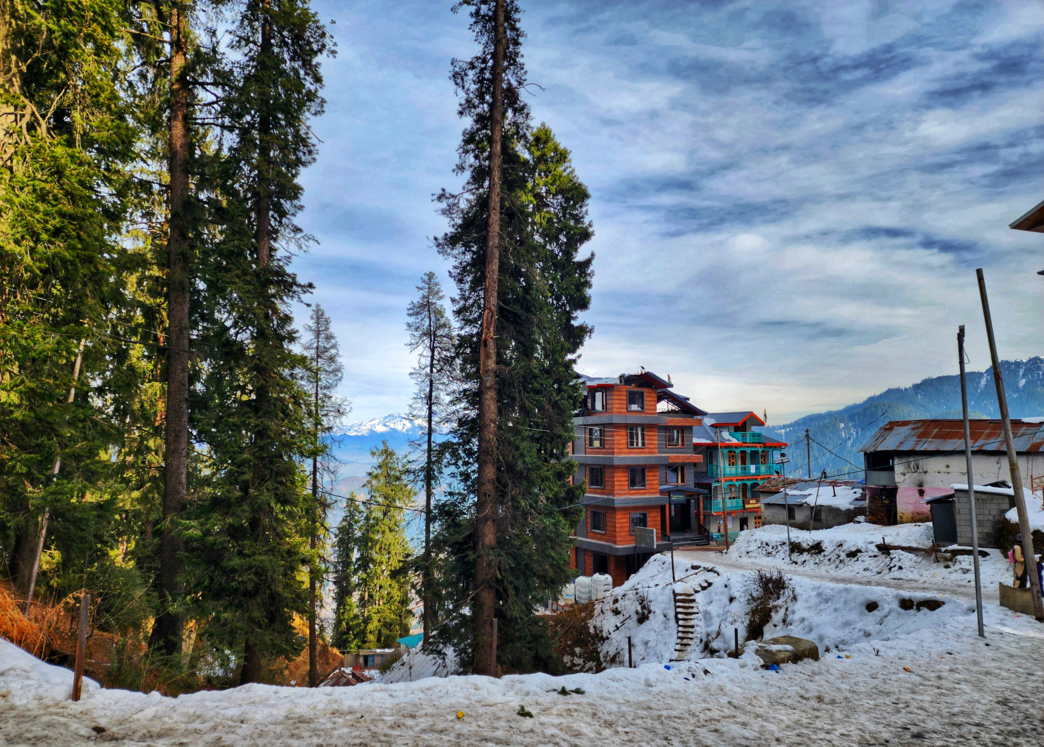 The White Season Residency, Narkanda Hotel Narkanda - Reviews, Photos ...