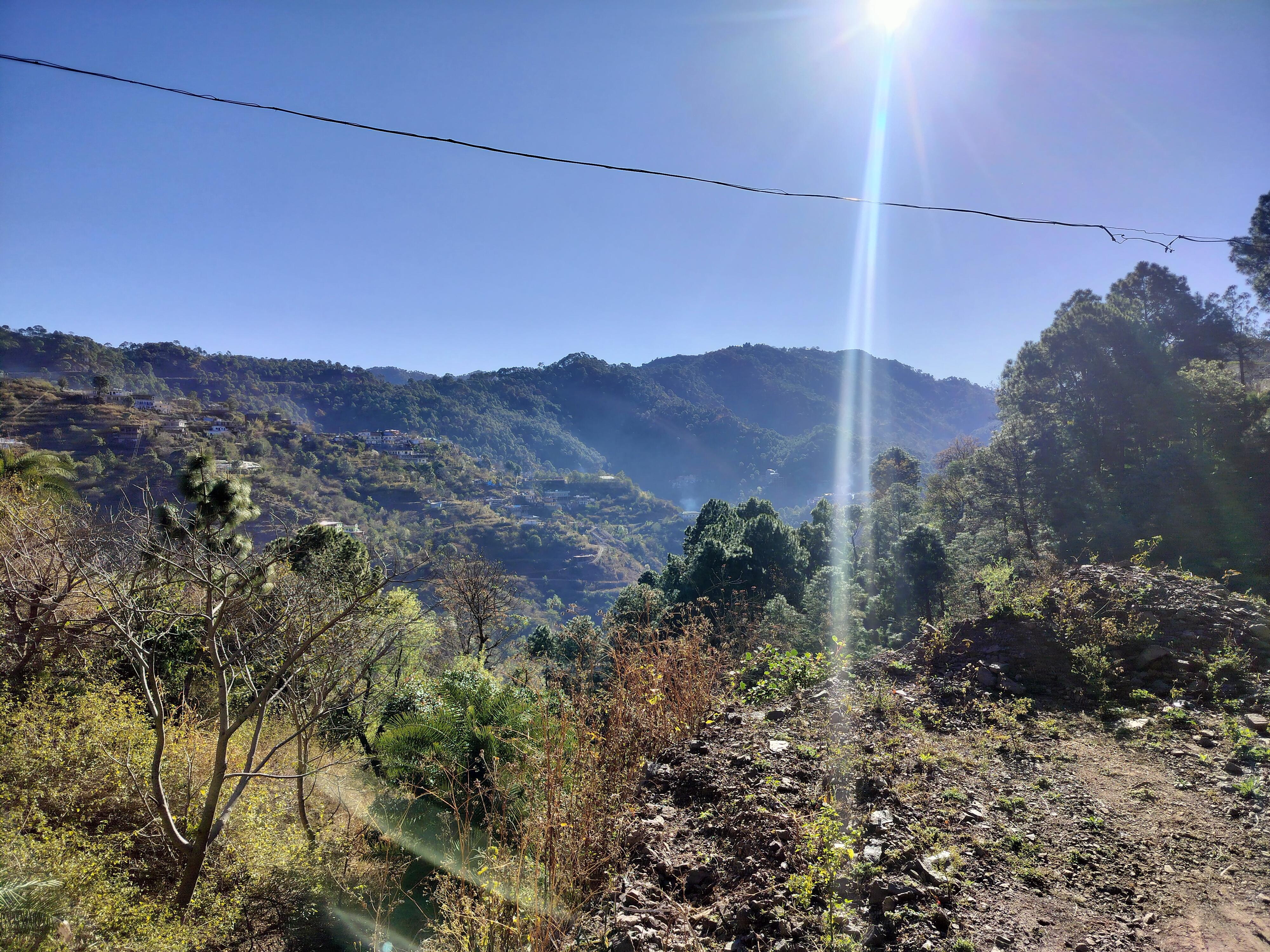 Kasauli Jashan family Home stay 𝗕𝗢𝗢𝗞 Kasauli Homestay