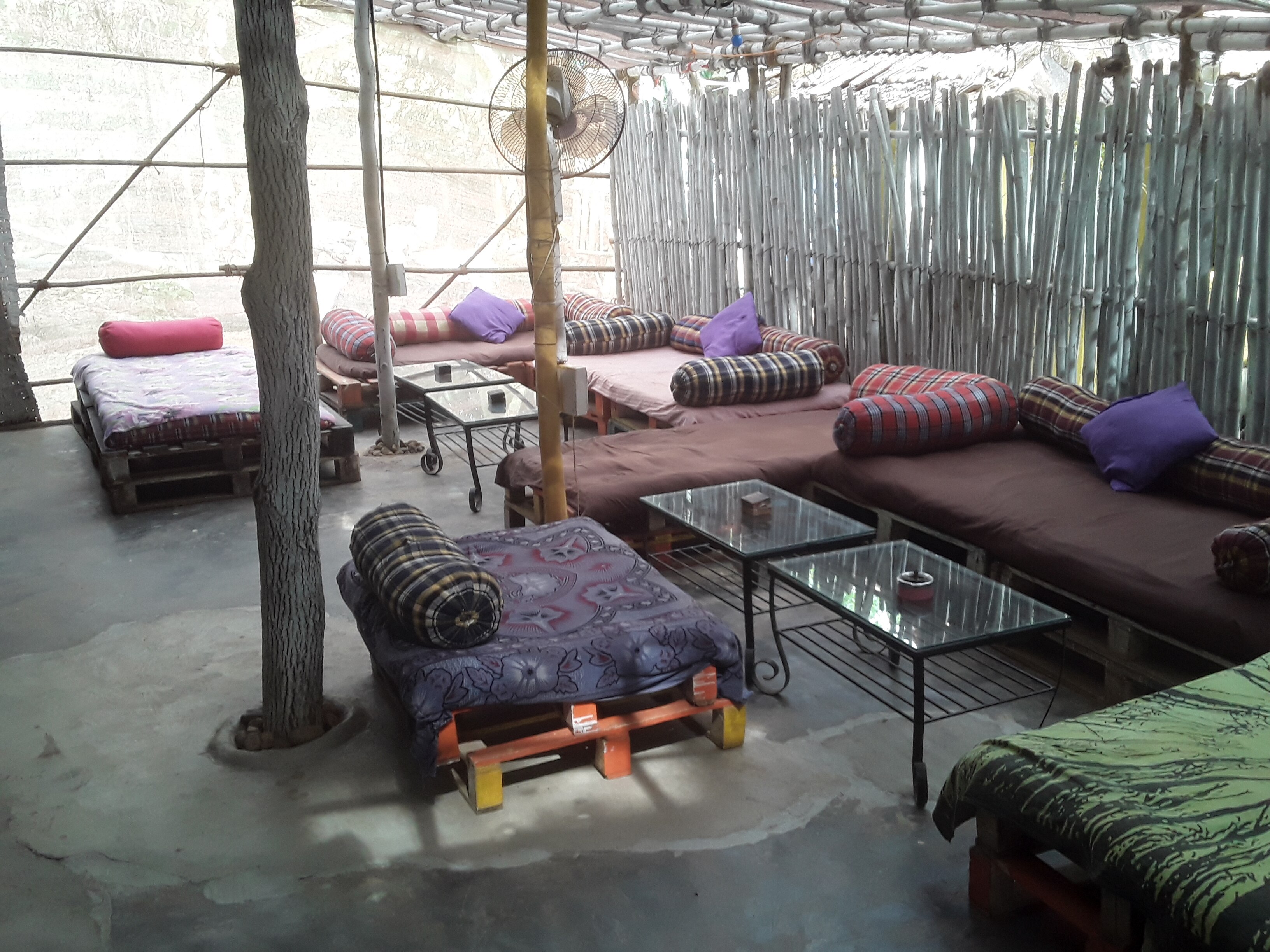 The Lost Tribe Hostels 𝗕𝗢𝗢𝗞 Goa Hostel