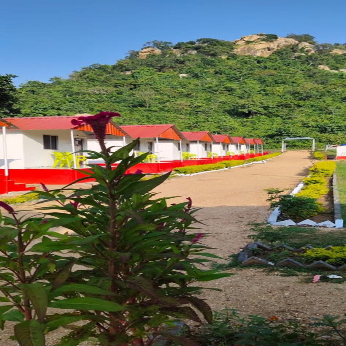 Moonrise Resort Tajpur - Reviews, Photos & Offer